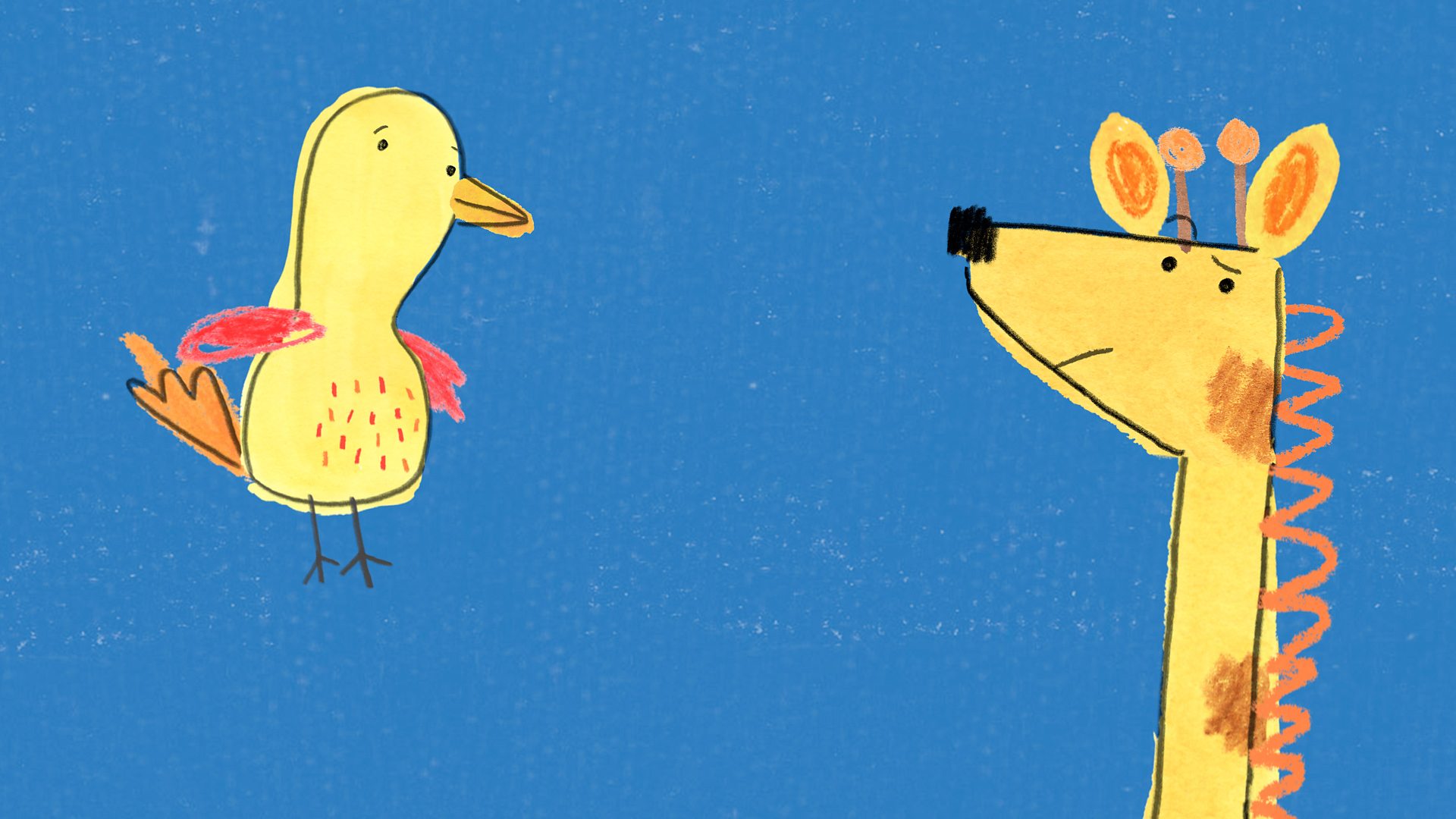 BBC iPlayer - Pablo - Series 1: 24. Zoom Zoom Zoom