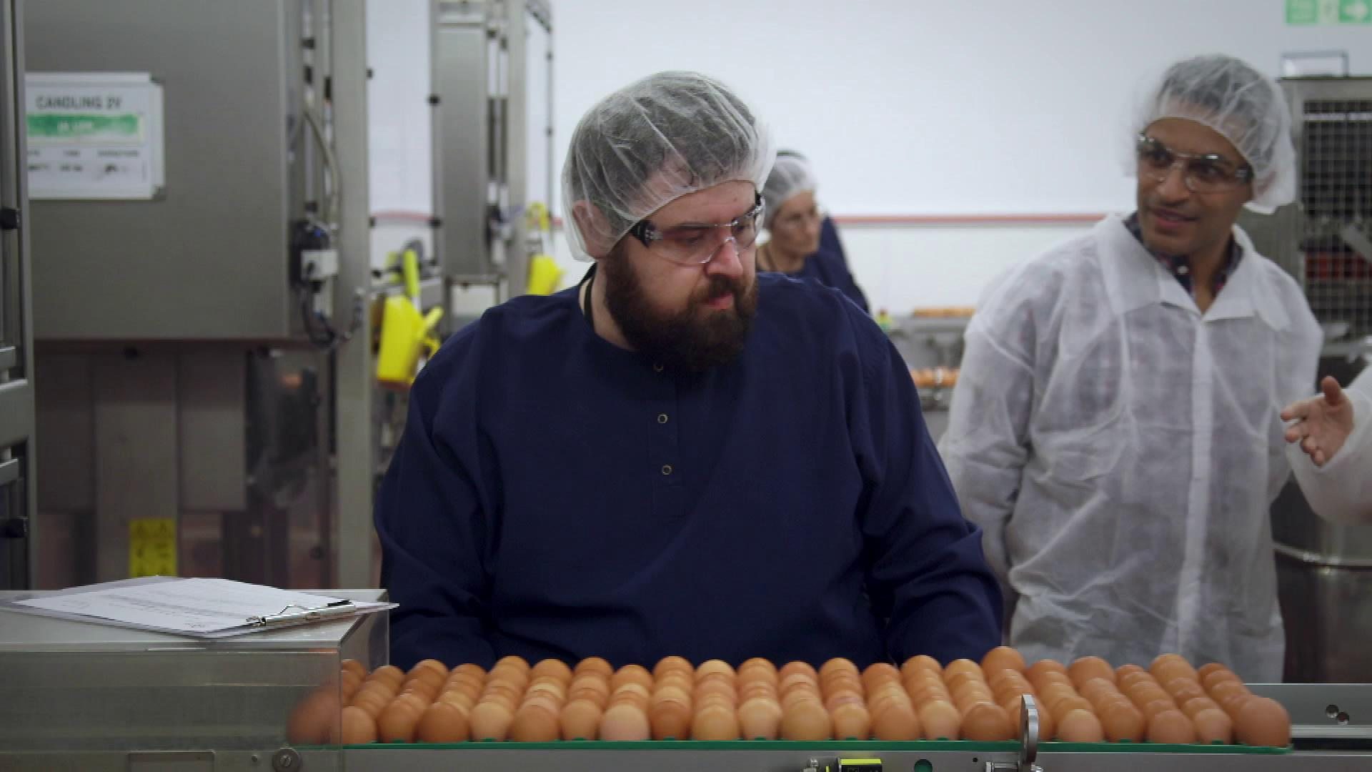 BBC Four - Contagion: The BBC Four Pandemic, What have eggs got to do ...