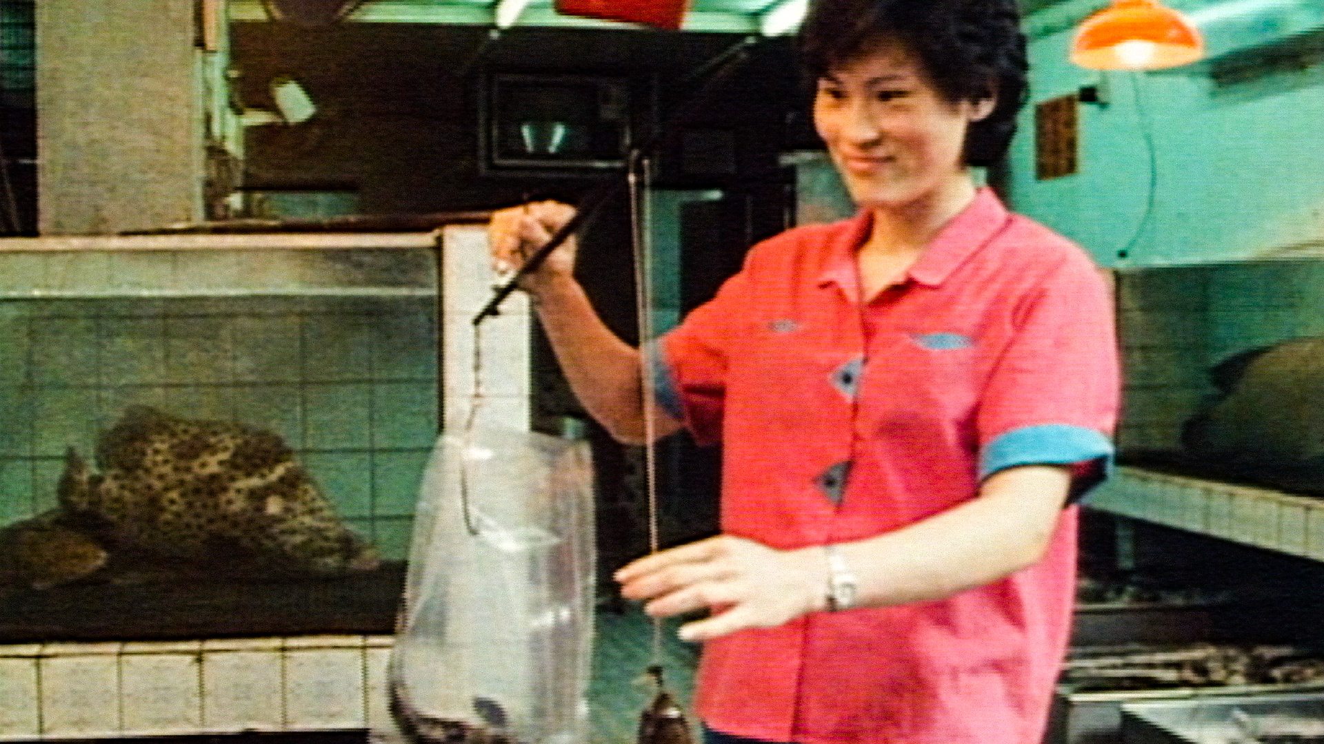 BBC iPlayer - Ken Homs Chinese Cookery - Fish