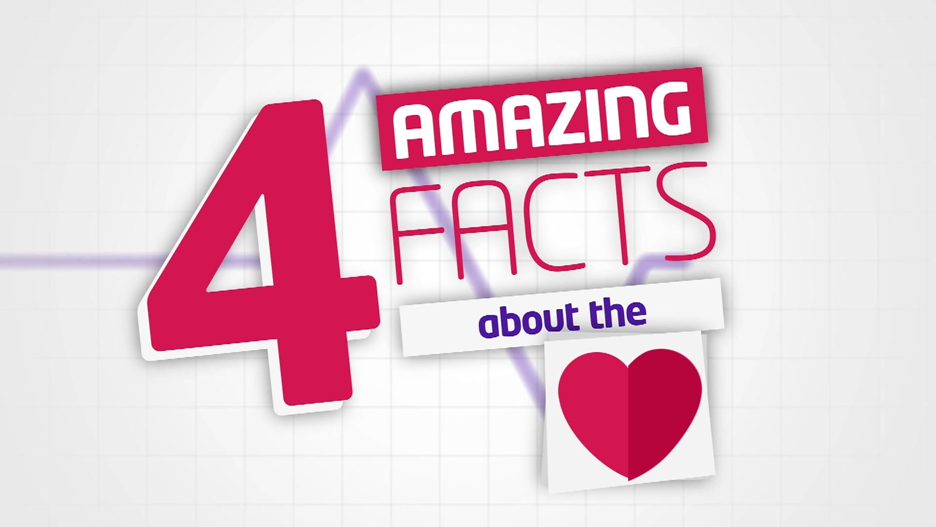 Wtf Fun Fact Heart Fun Facts About The Heart Mama Teaches