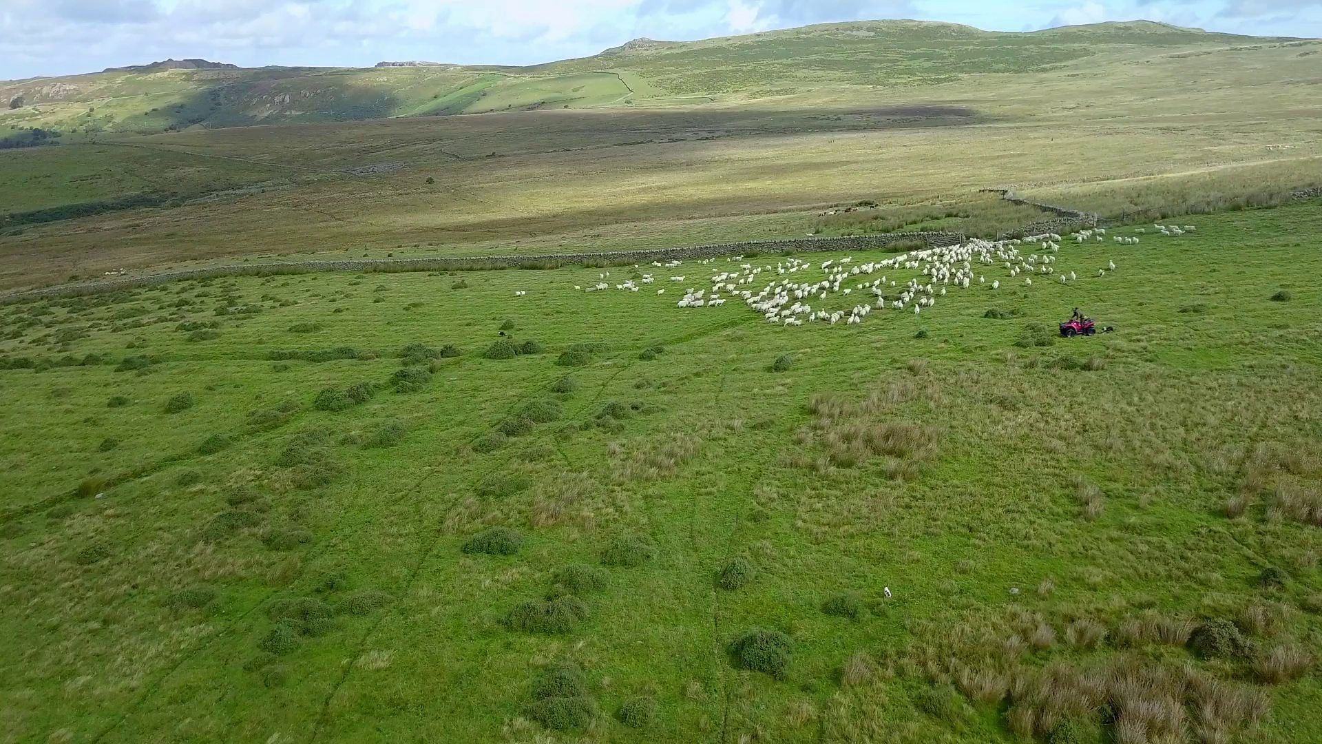 BBC One - The Family Farm - Gareth Wyn Jones