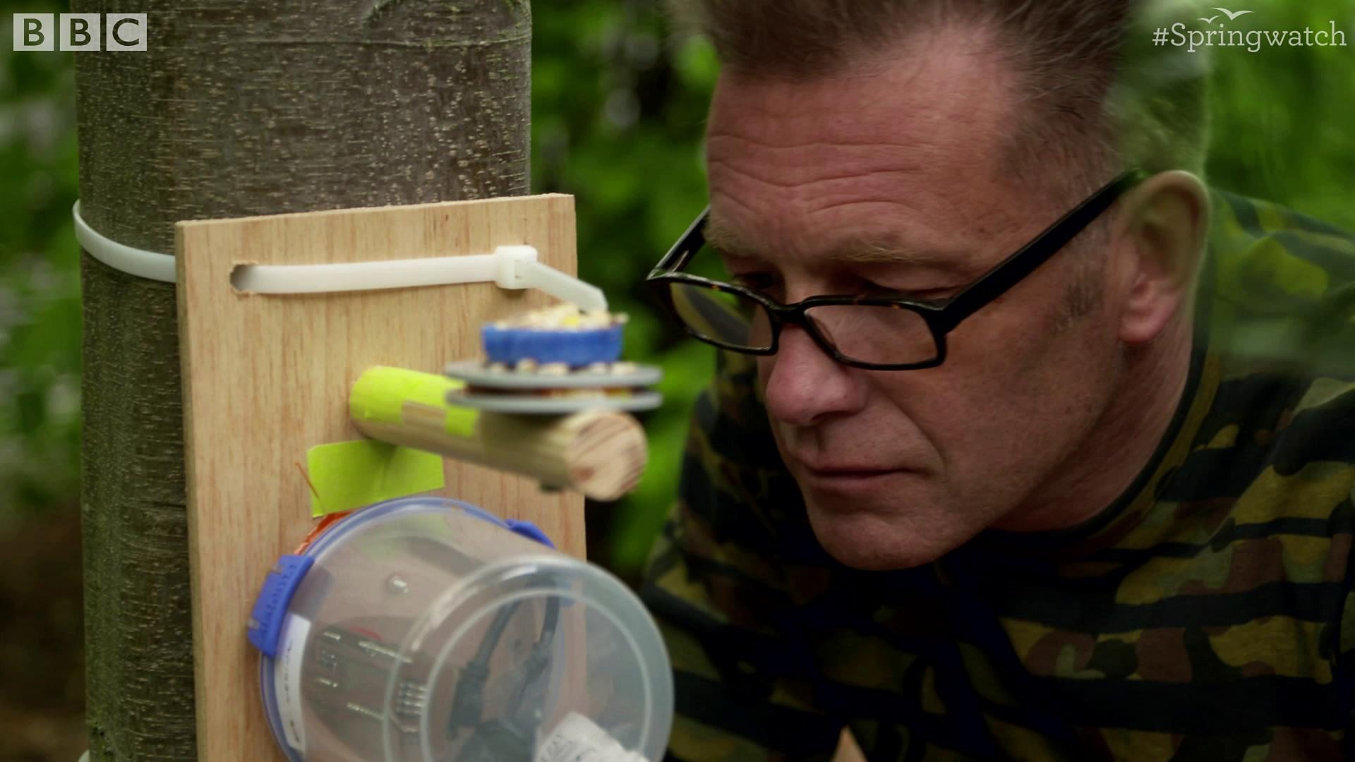 BBC Two - Springwatch, My Naturewatch camera