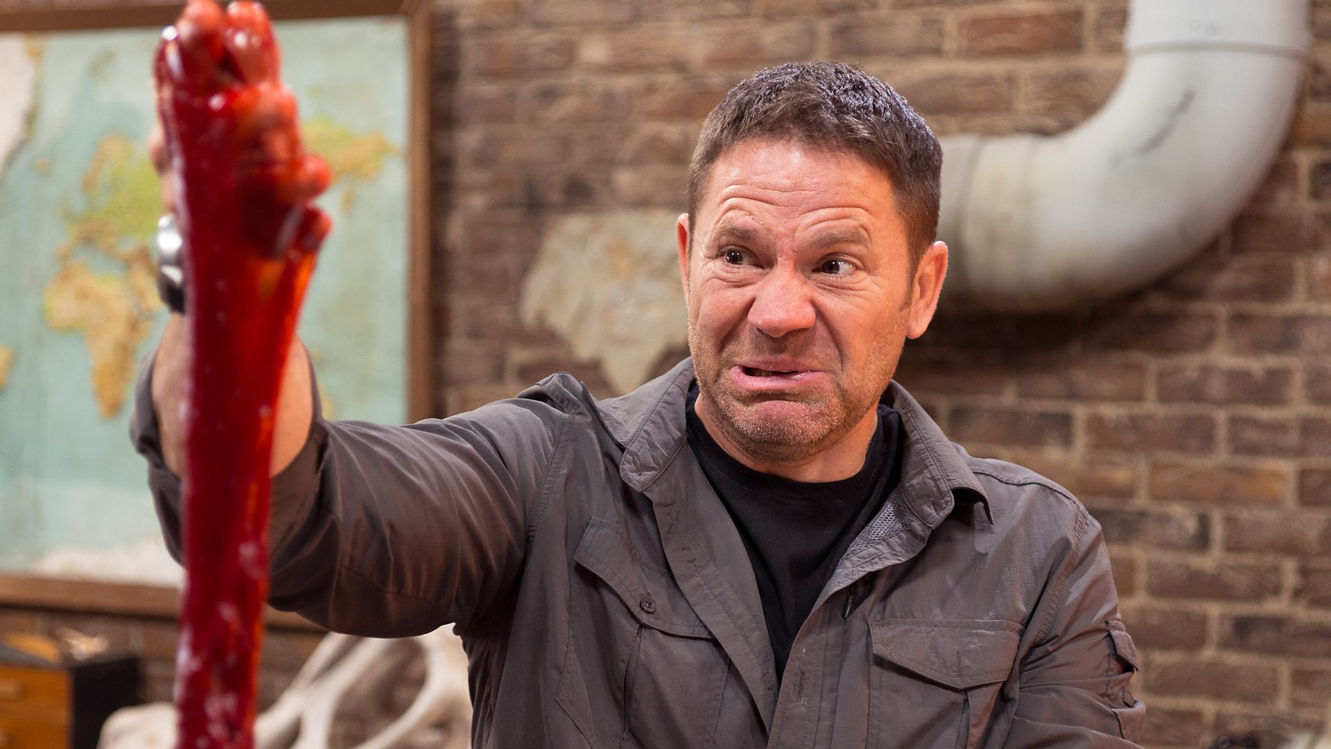 BBC iPlayer - Deadly Dinosaurs with Steve Backshall - Series 1: 8 ...