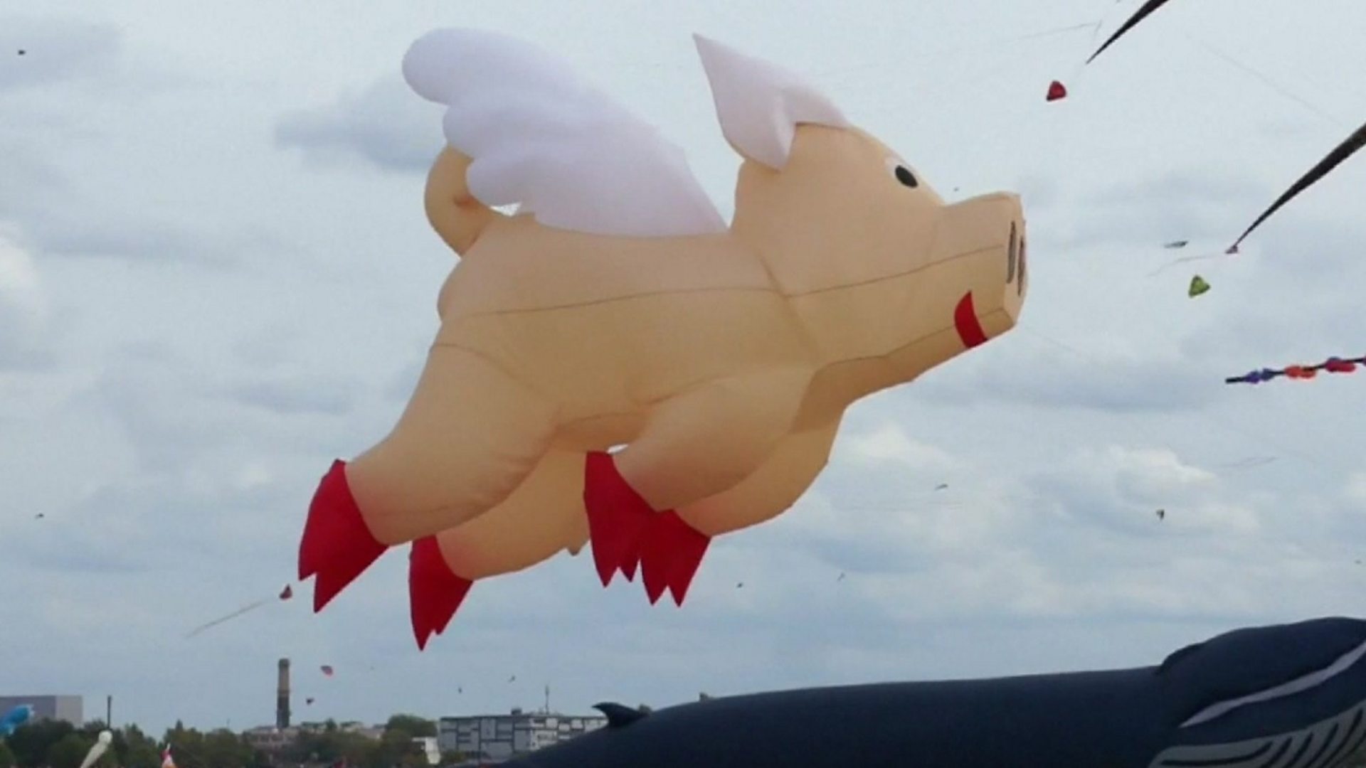 Weird Kites Factory Sale Children's Beach Outdoor Toys Airplane OEM