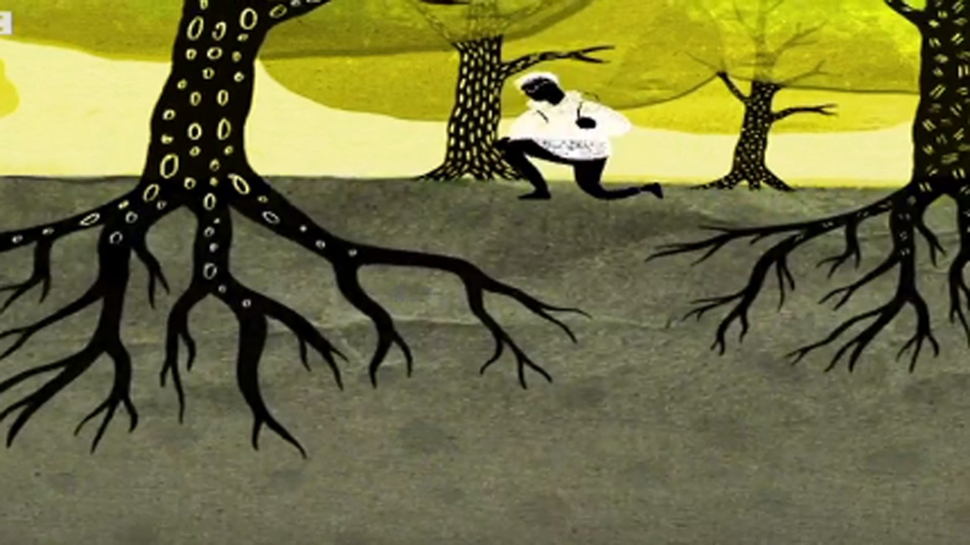 BBC - BBC Partners Website, CrowdScience:How trees secretly talk to ...