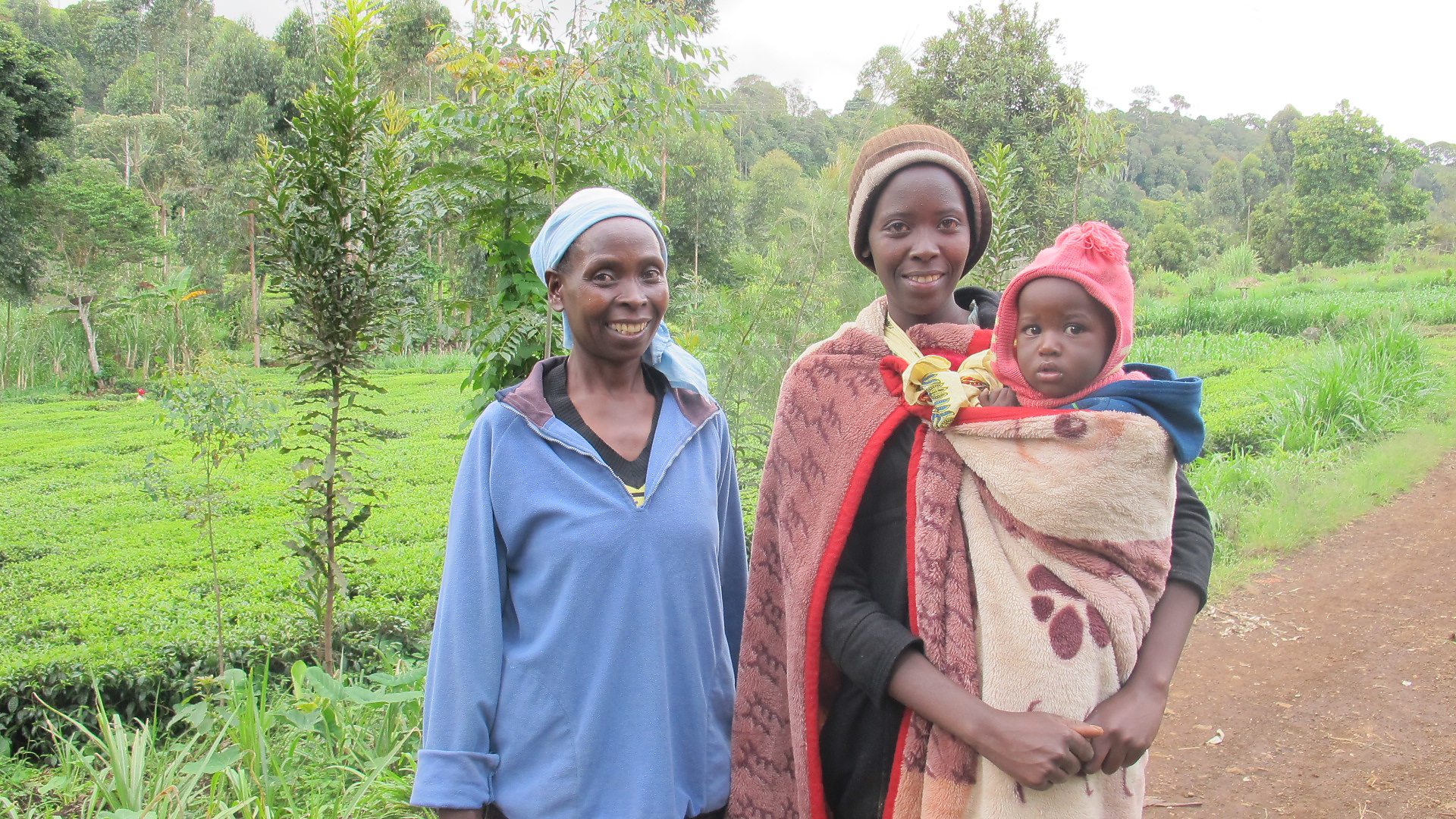 International Tree Foundation