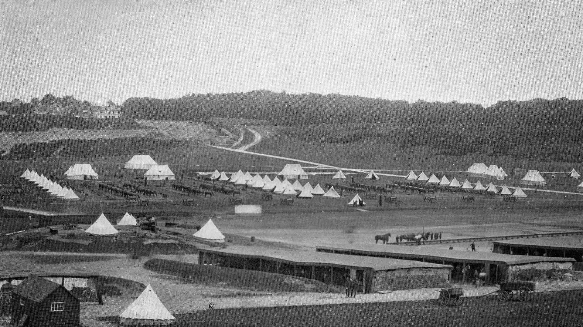 BBC - Digital Northern Ireland, The Curragh