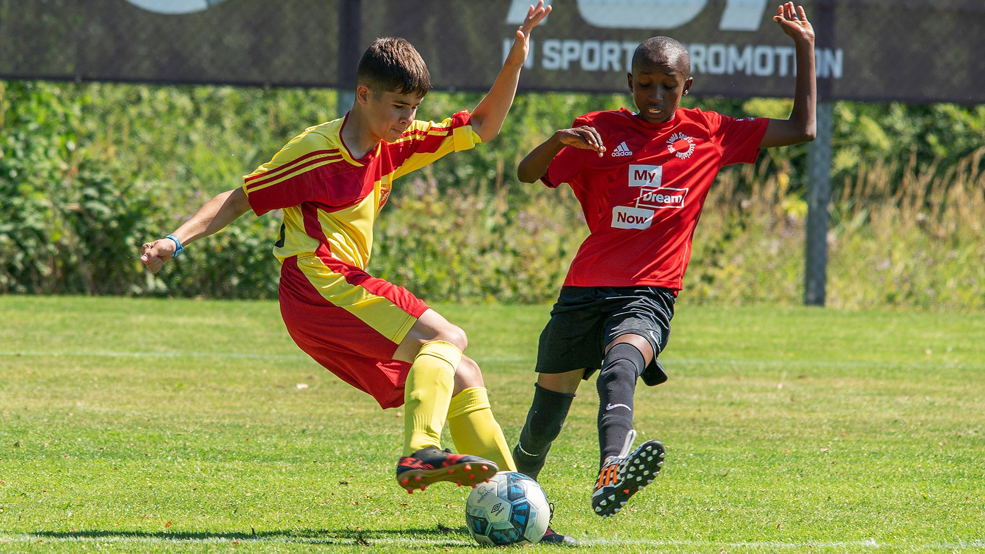 BBC iPlayer - Jamie Johnson - Series 4: 11. Phoenix Reunited