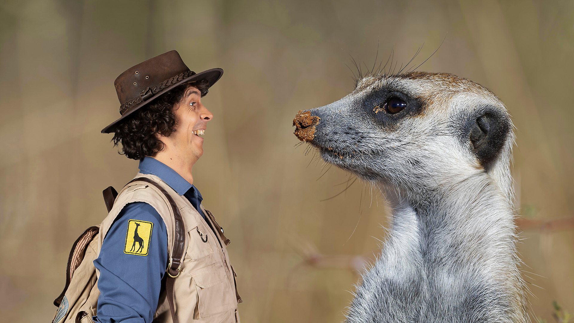 BBC iPlayer - Andys Safari Adventures - Series 1: 2. Andy and the Meerkats