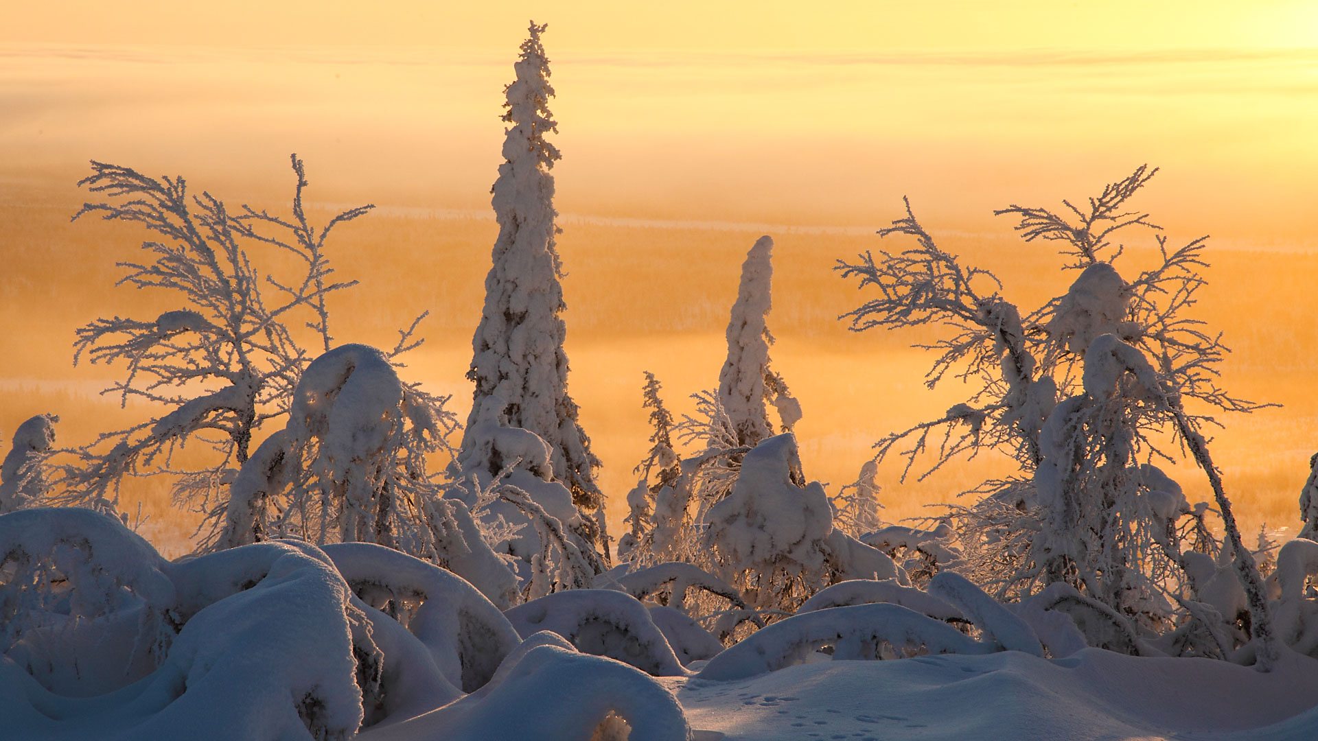 BBC iPlayer - Frozen Planet - 1. To the Ends of the Earth