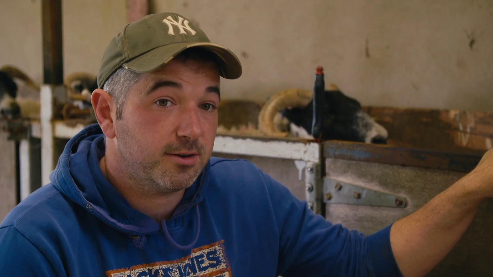 BBC Two - Our Farming Life, Series 1, Episode 2, Shearing Season