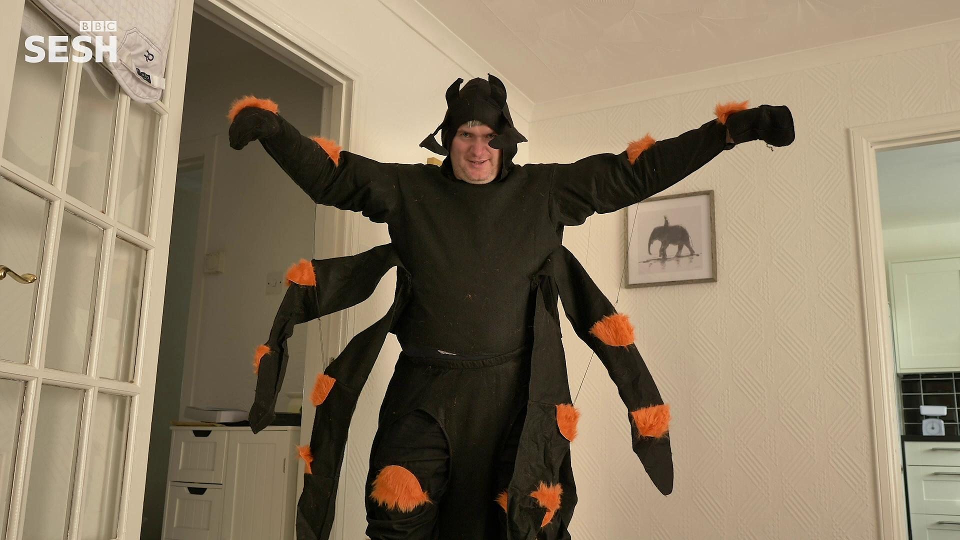 BBC Wales - BBC Sesh, How I See Spiders