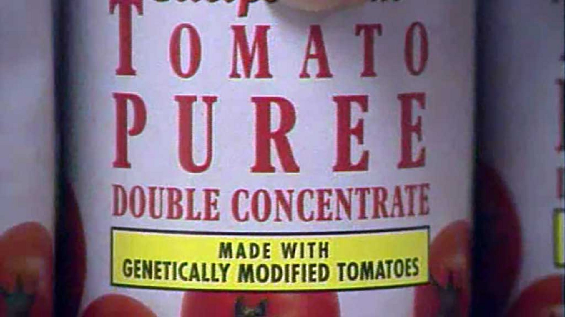 Genetically Modified Food Tomatoes