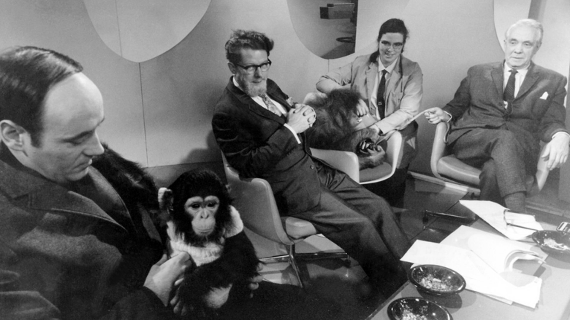 Life in the Animal World: a revolution in wildlife TV