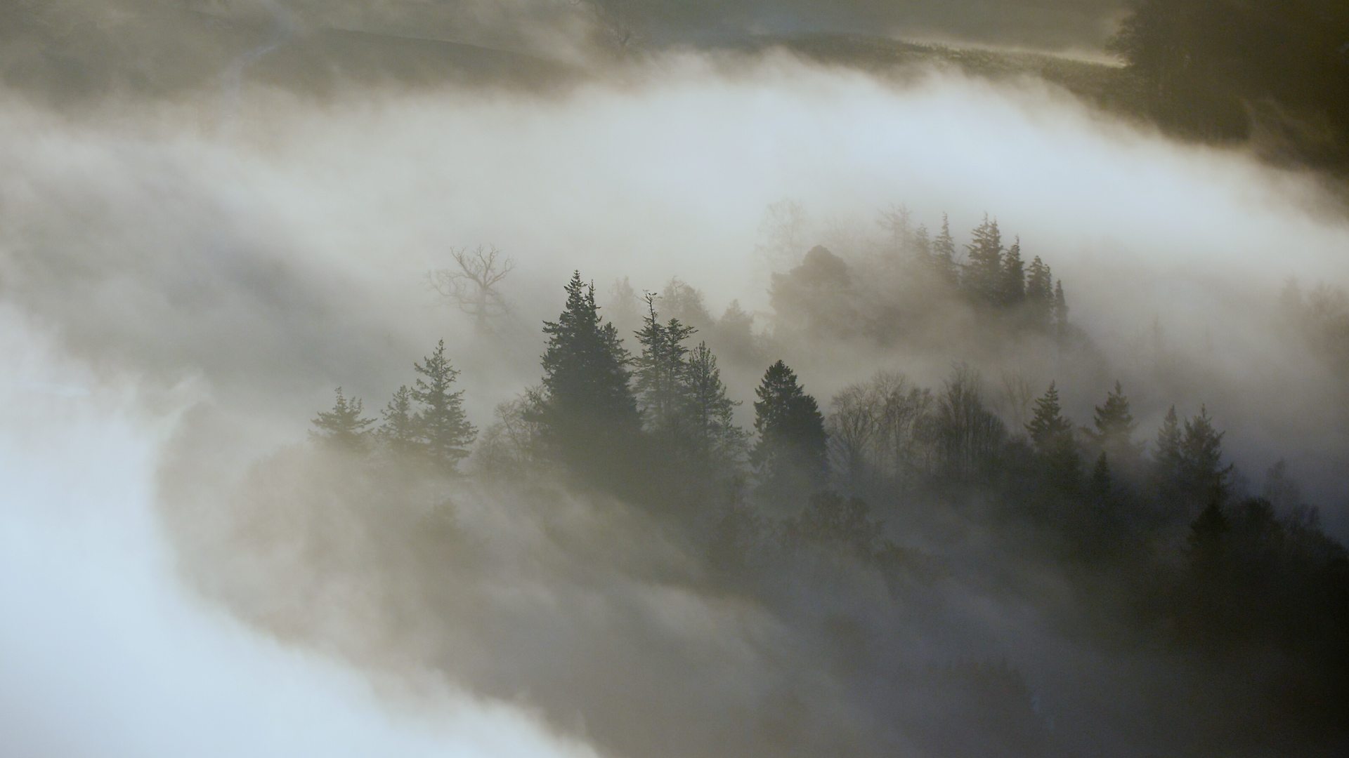 BBC Two - Winterwatch, Series 9, Episode 5, Winter light in the Lake ...