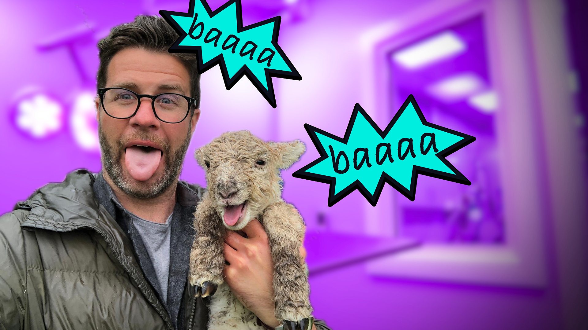 BBC iPlayer - The Pets Factor - Series 8: 10. Olivia, Poppy and Tyrion