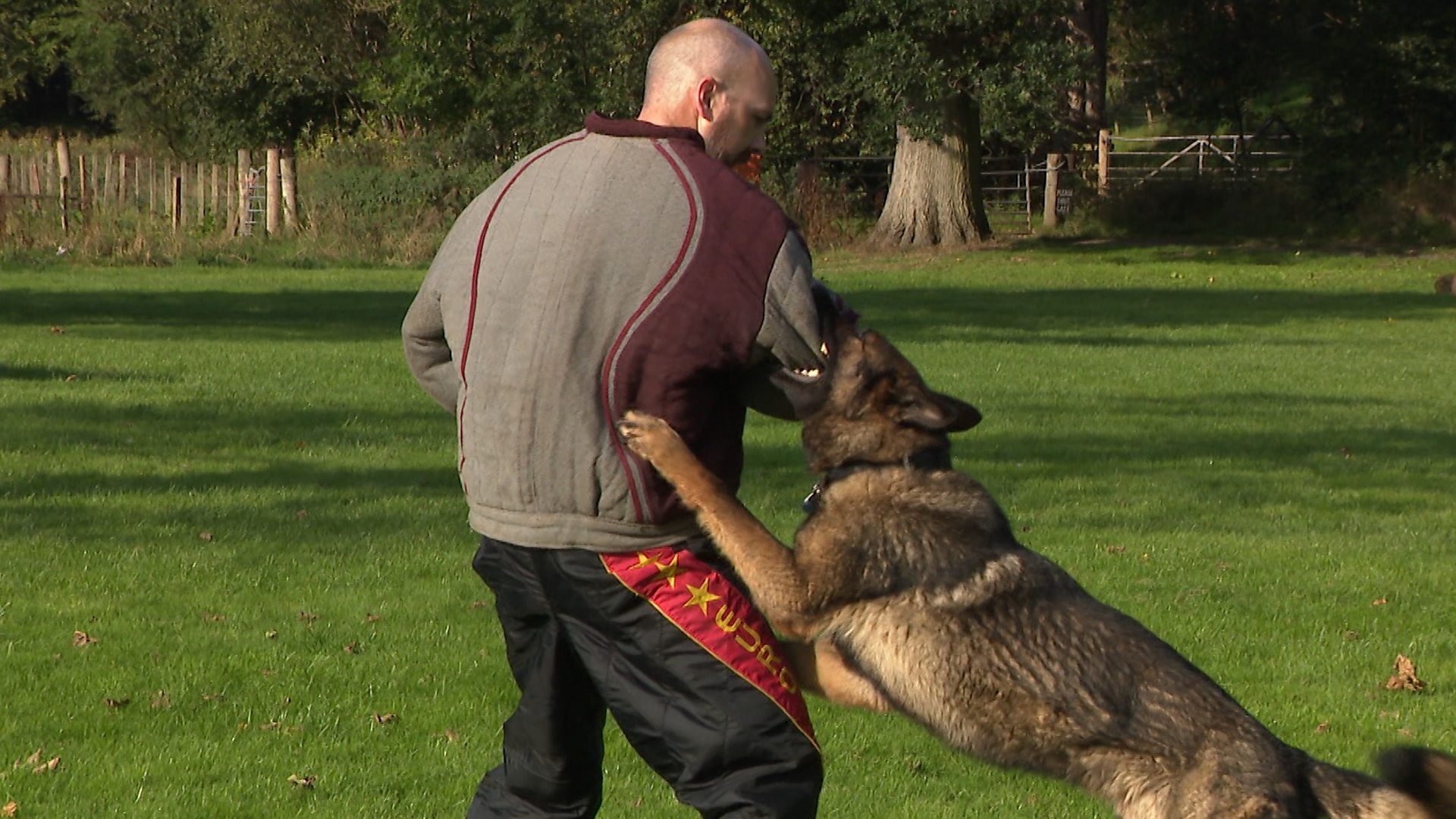 BBC News - Scotland, Police dogs in training exercises ahead of COP26