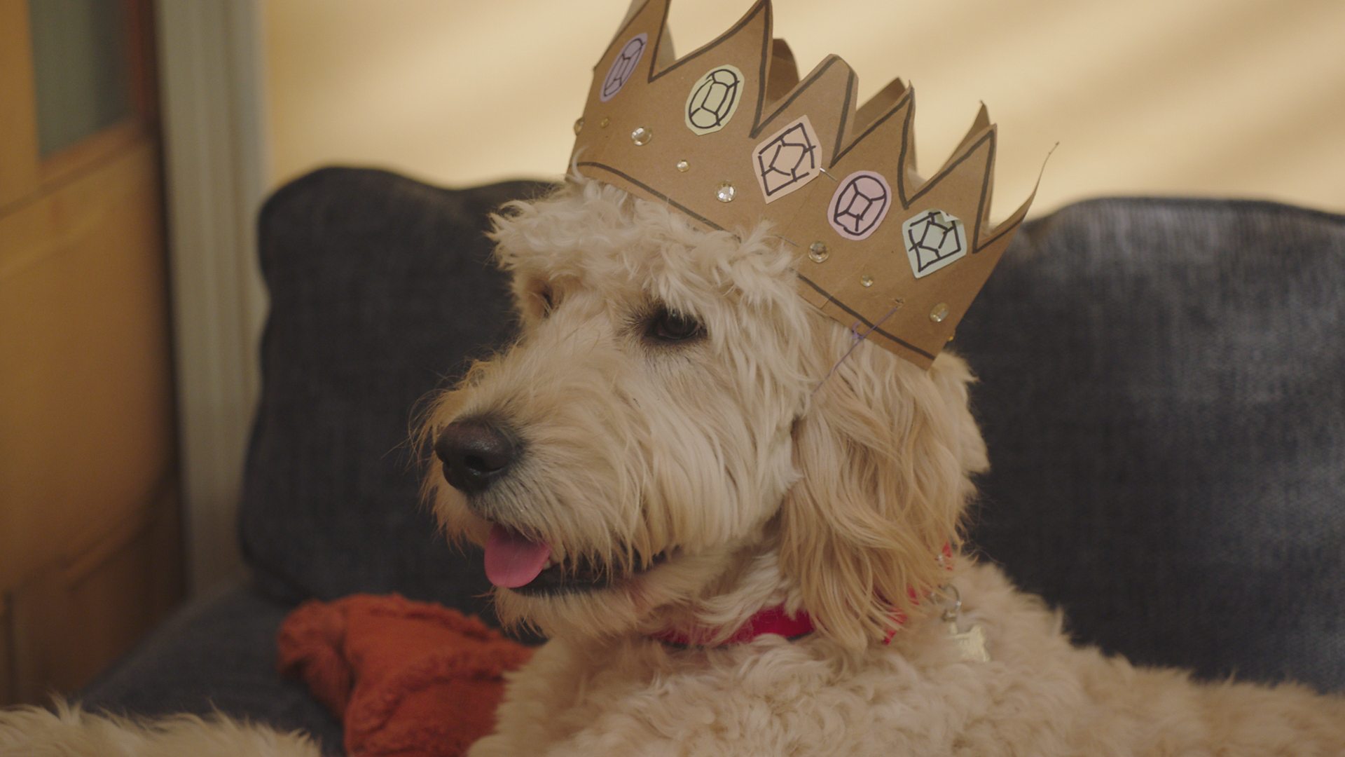 BBC iPlayer - Biff and Chip - Series 1: 20. A Royal Visit