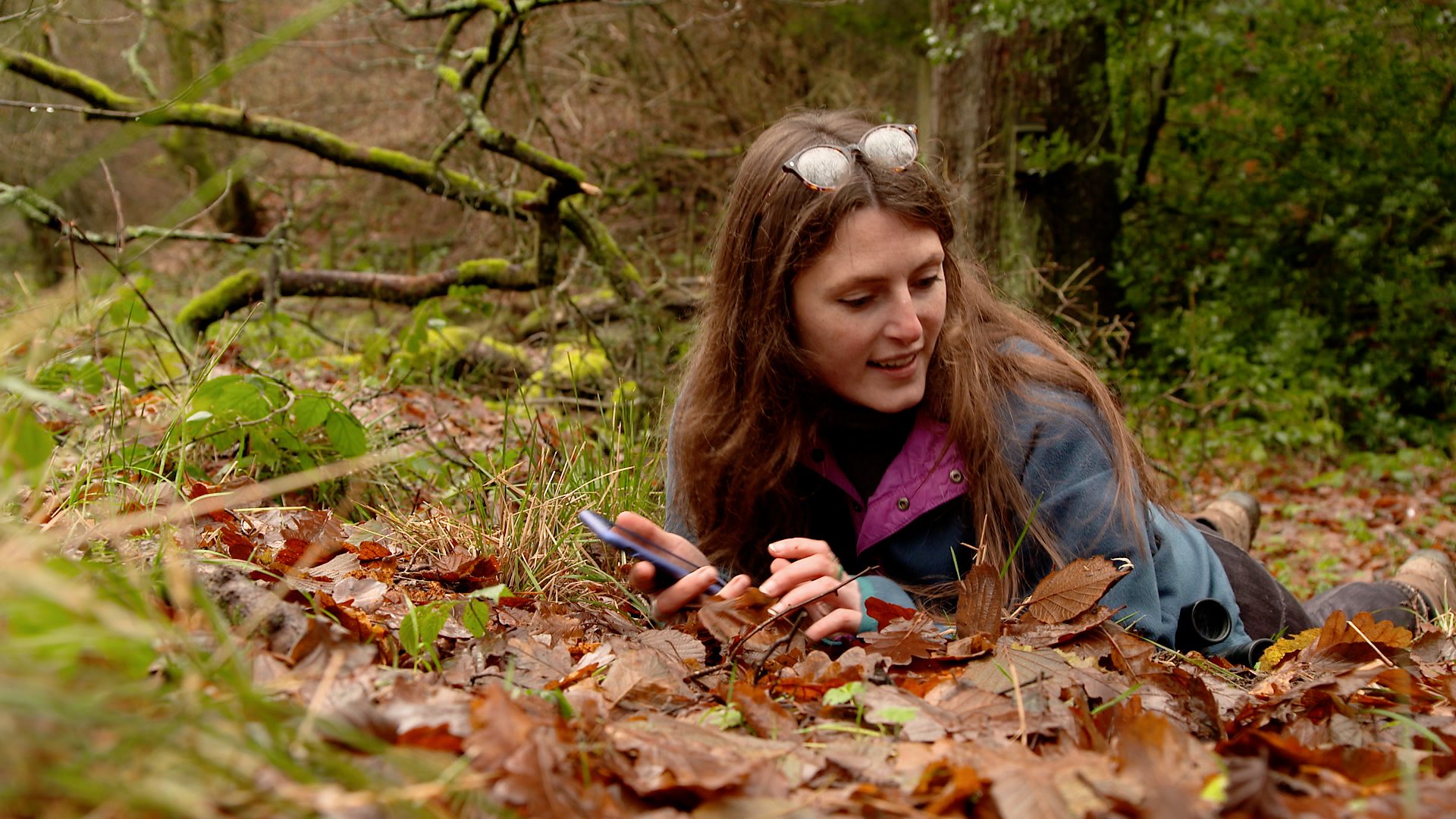 BBC Two - Winterwatch, Series 10, Episode 3, Leaf litter with Lucy Lapwing