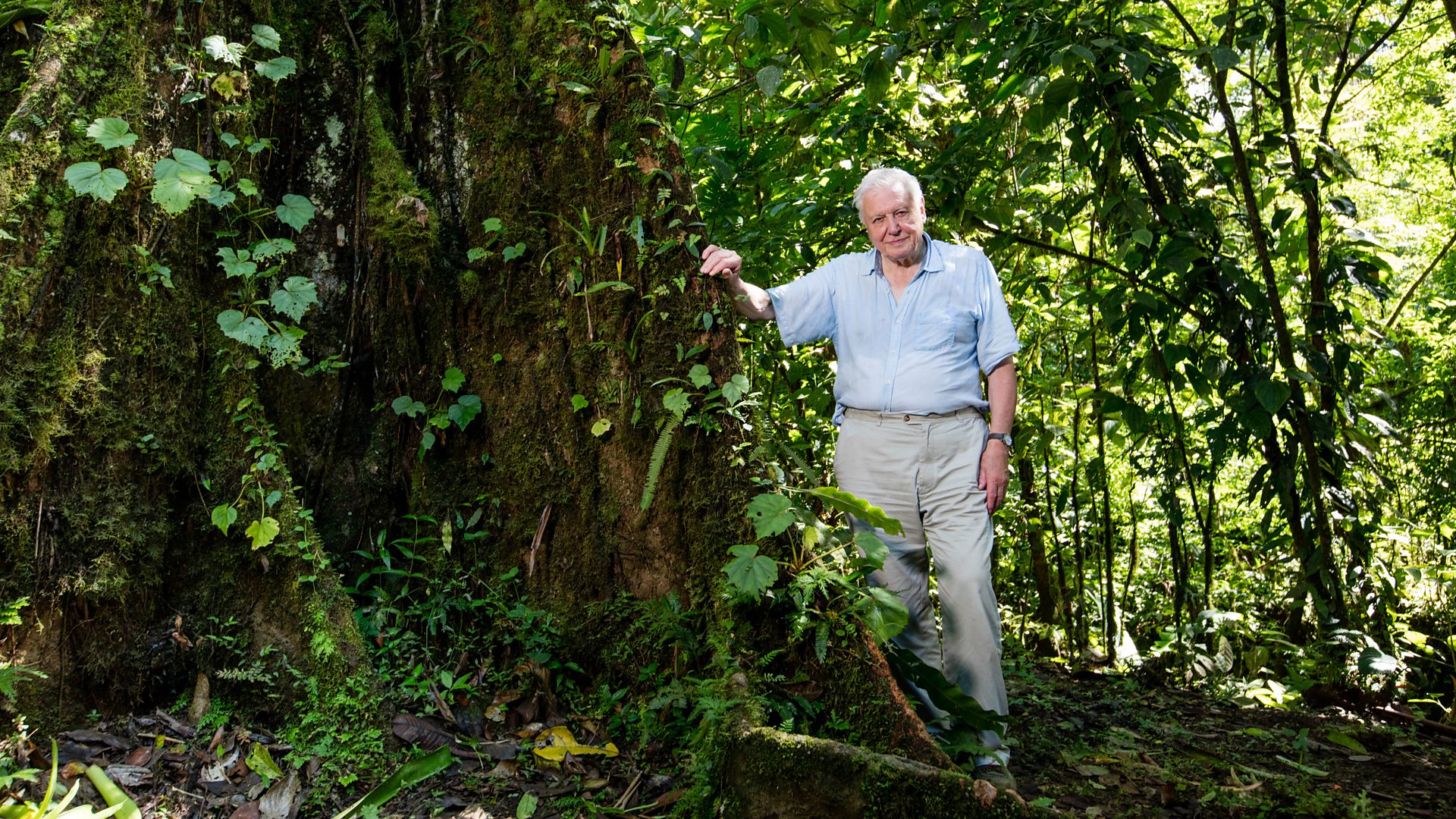 Bbc Studios Natural History Unit Joins Forces With Moondance Foundation
