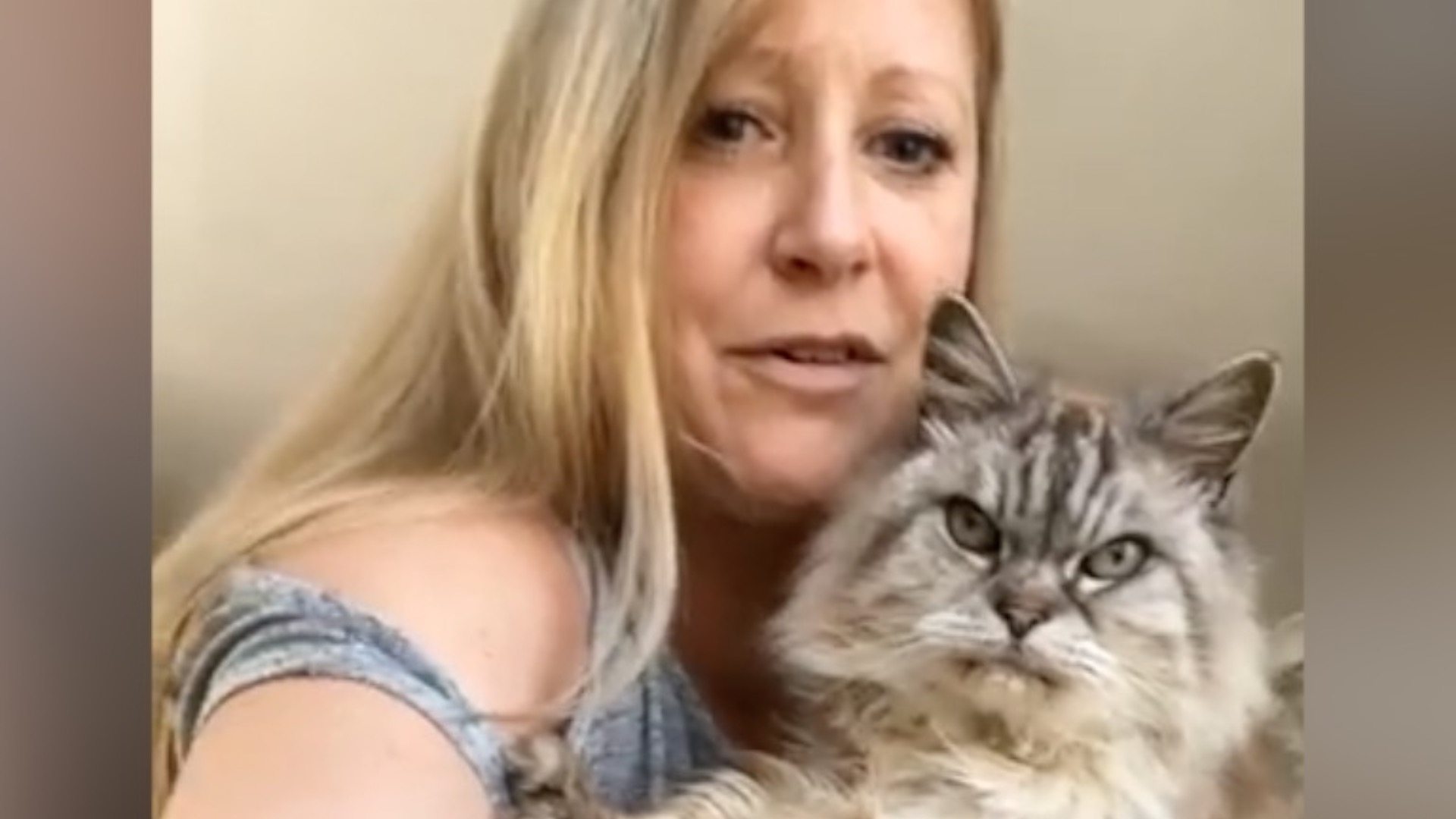 Cat Nguyen's Instagram, Twitter & Facebook on IDCrawl