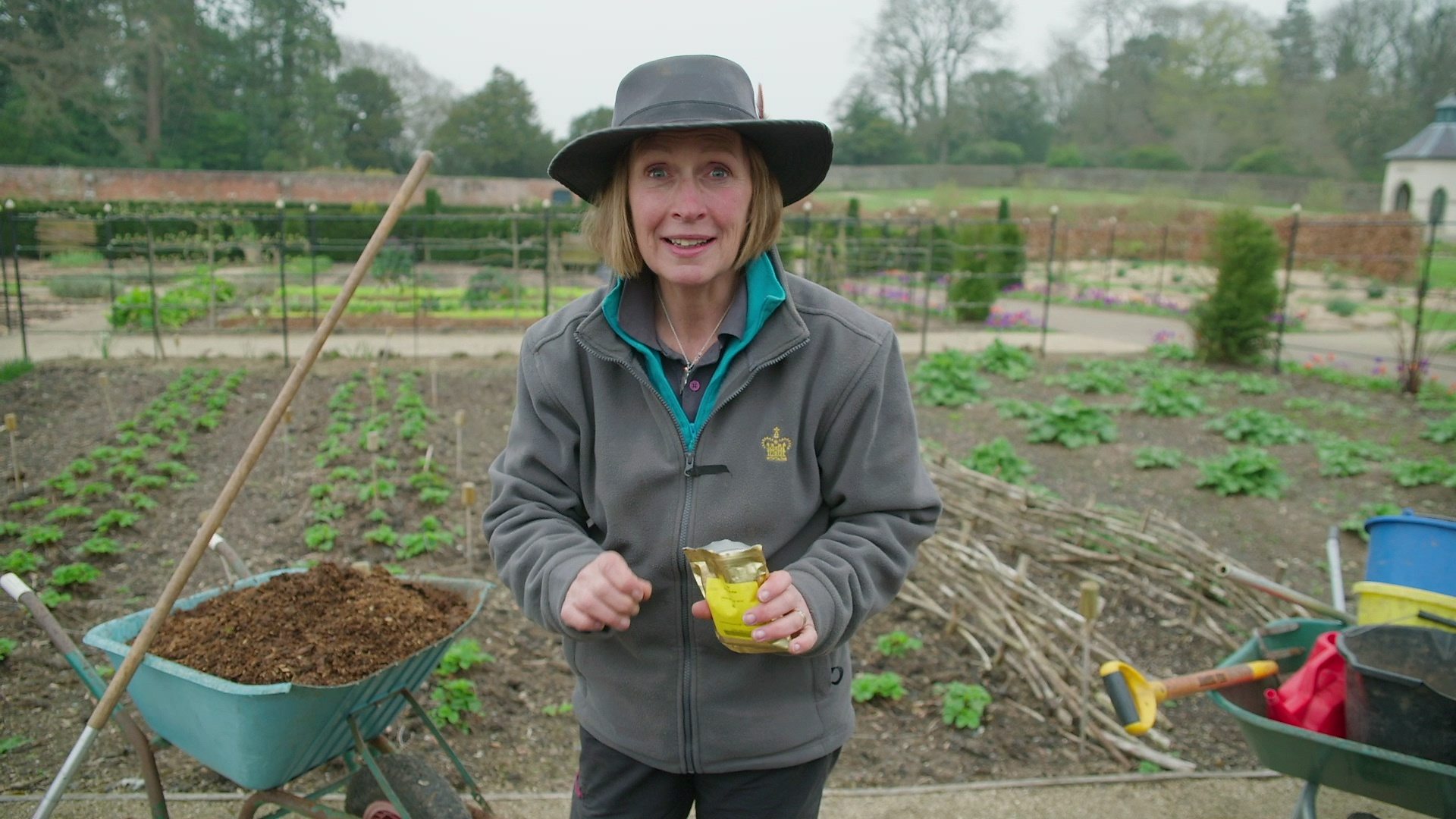BBC - Sowing seeds outside