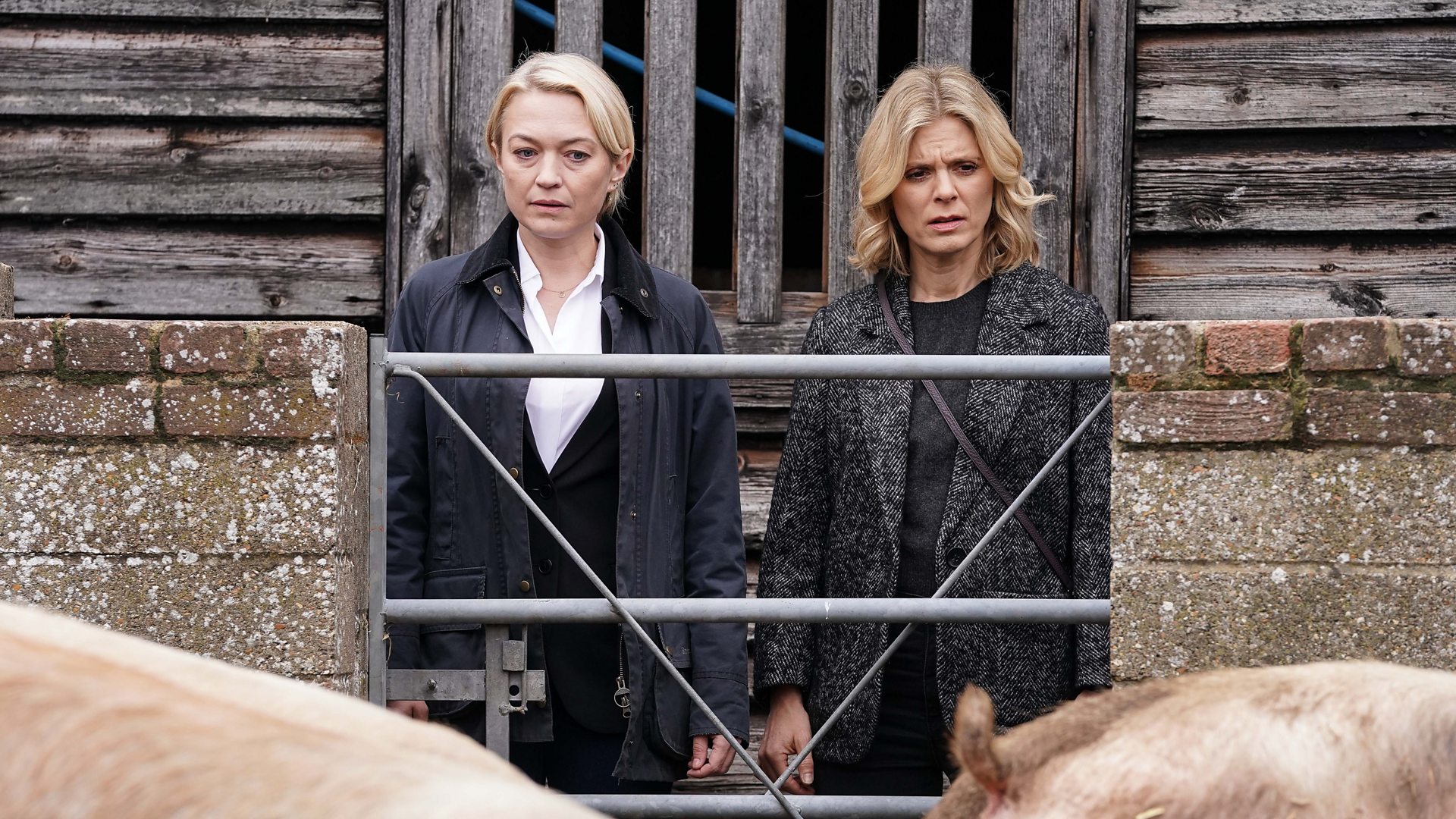 BBC One - Silent Witness, Silent Witness Series 26 Episode Two The ...