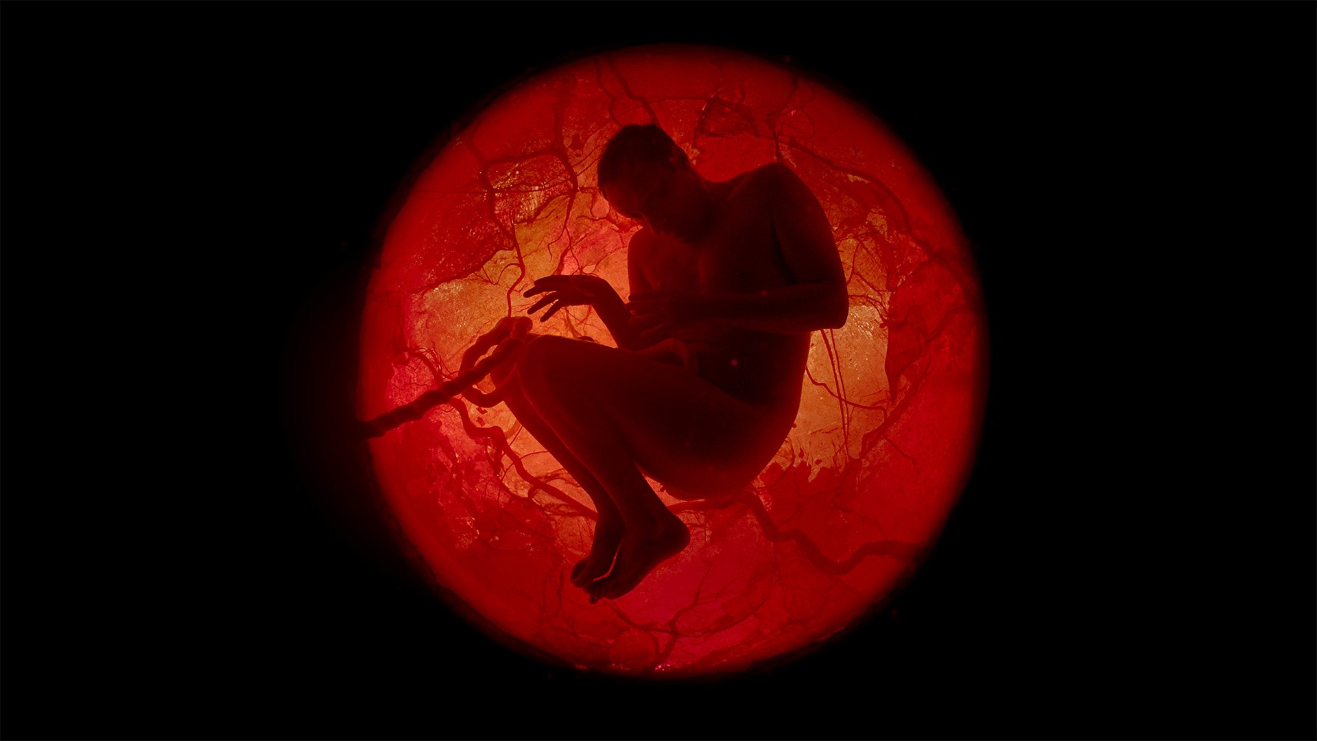 BBC Studios Productions & Guilty Party Pictures receive greenlight for ...