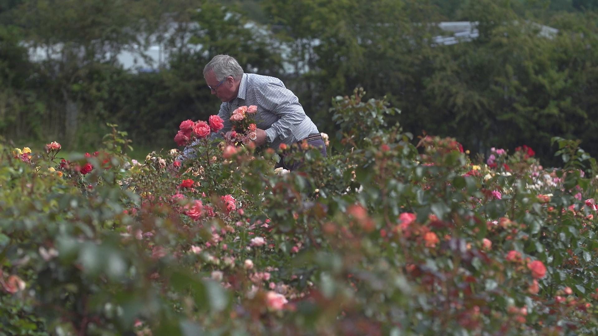 BBC Radio Ulster - Gardeners' Corner, ‘A Fond Farewell’ to commercial ...