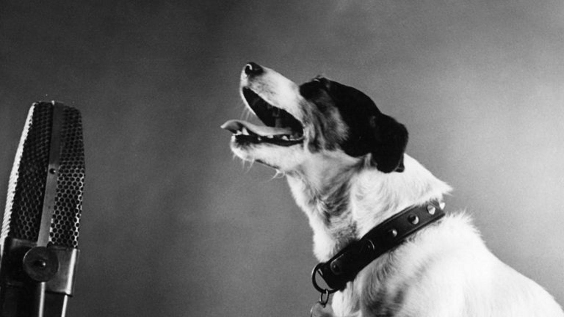 Barking Back: Pet listeners and the early BBC