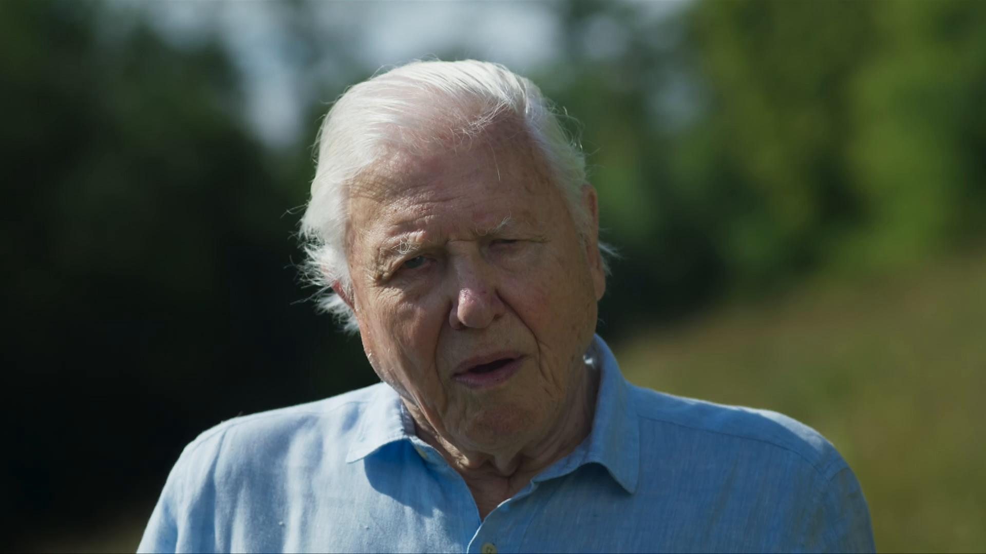 BBC One - Planet Earth III, Sir David Attenborough and Executive ...