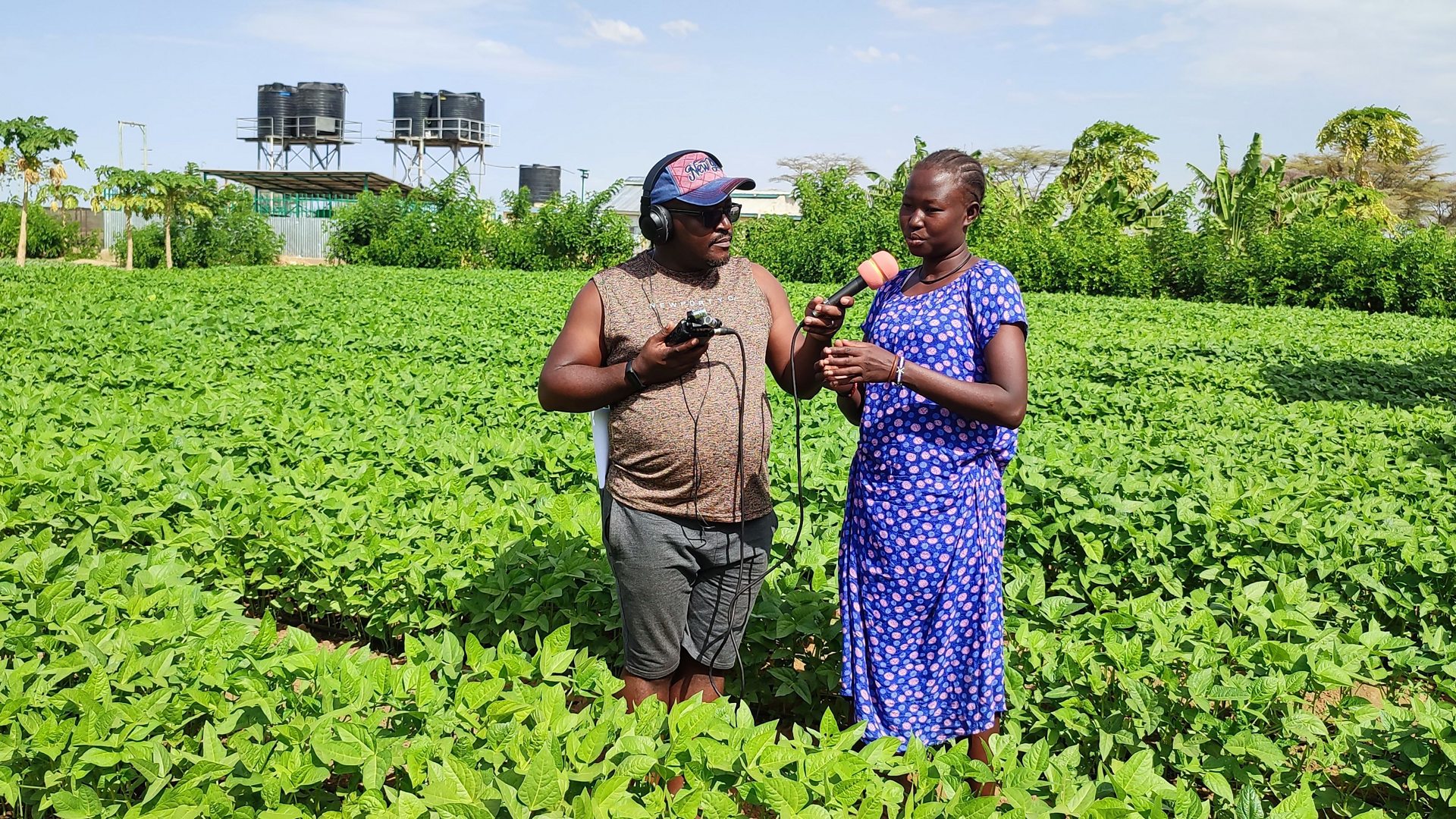 BBC Media Action at COP28