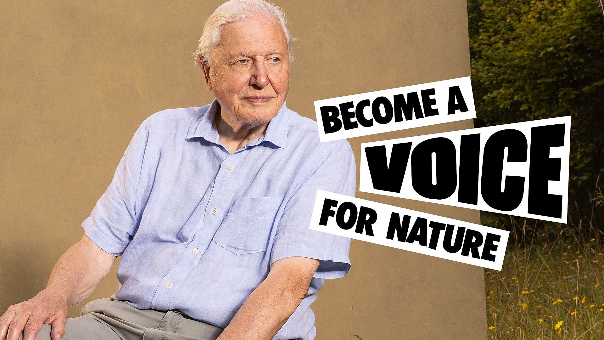 BBC One - Planet Earth III, Become a Voice for Nature