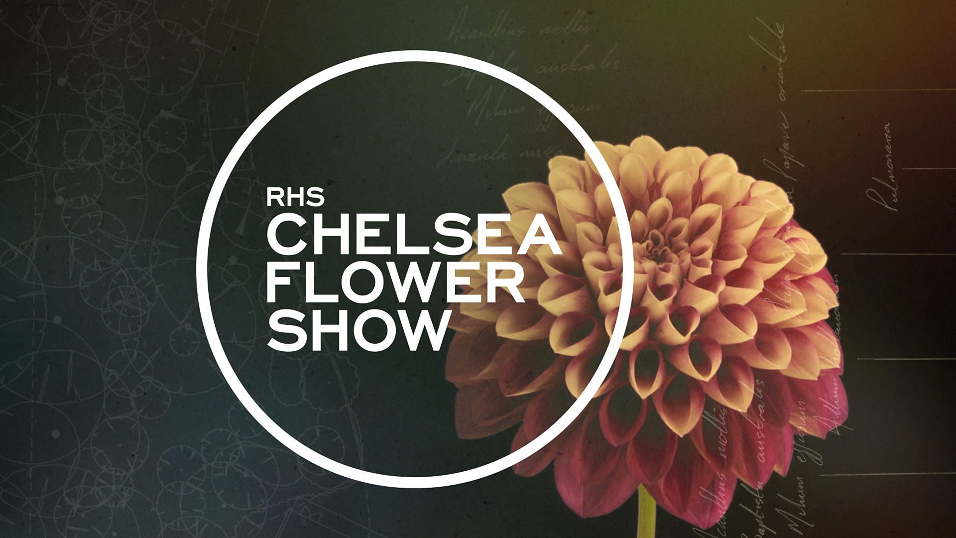 How to watch the 2024 RHS Chelsea Flower Show on TV and BBC iPlayer