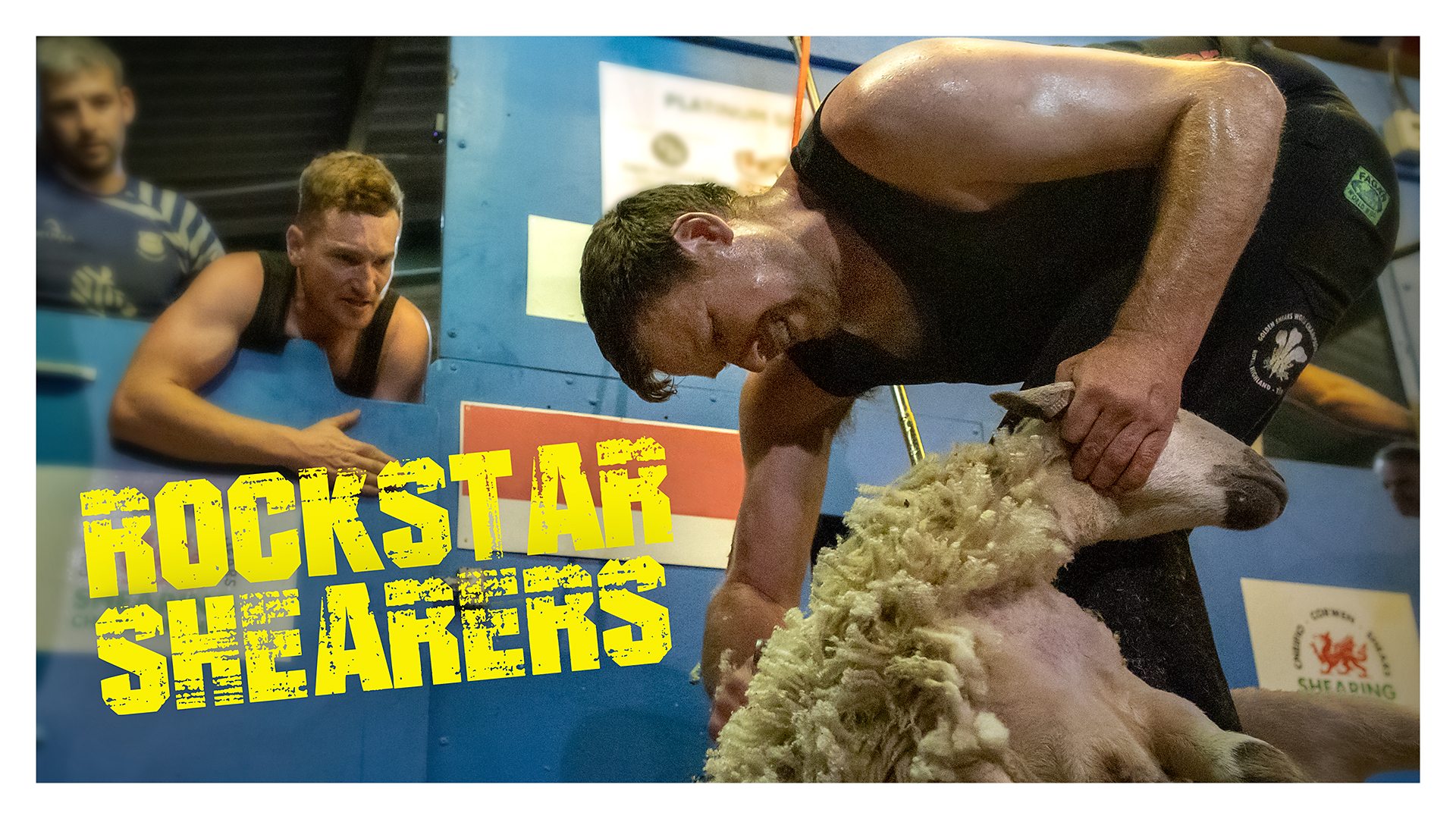 Our Lives: Rockstar Shearers