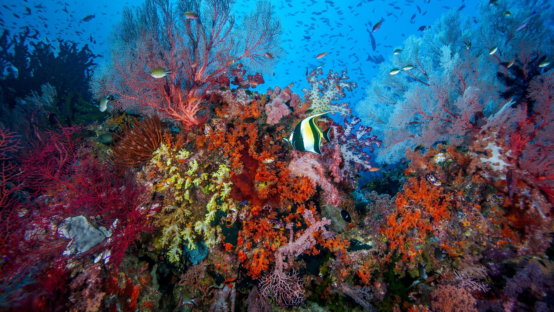 Asia episode one - Everything you need to know about Beneath the Waves