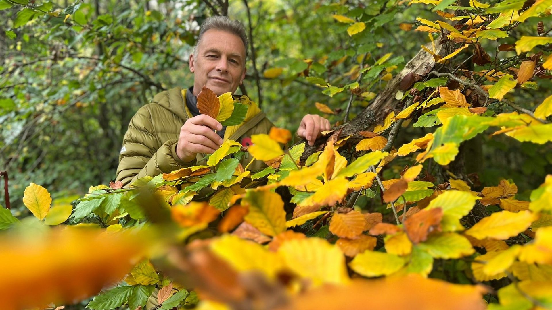 Autumnwatch on The One Show - Chris Packham reveals nature’s wonders ...