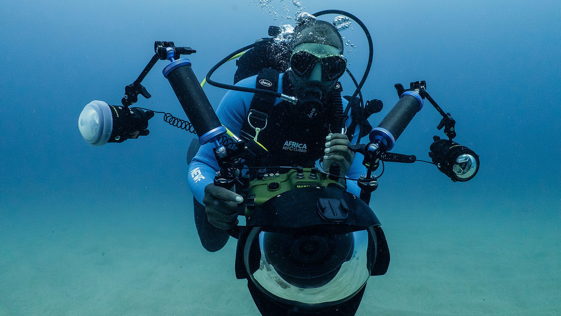 BBC Studios Digital Brands celebrates World Wildlife Day with brand-new ...