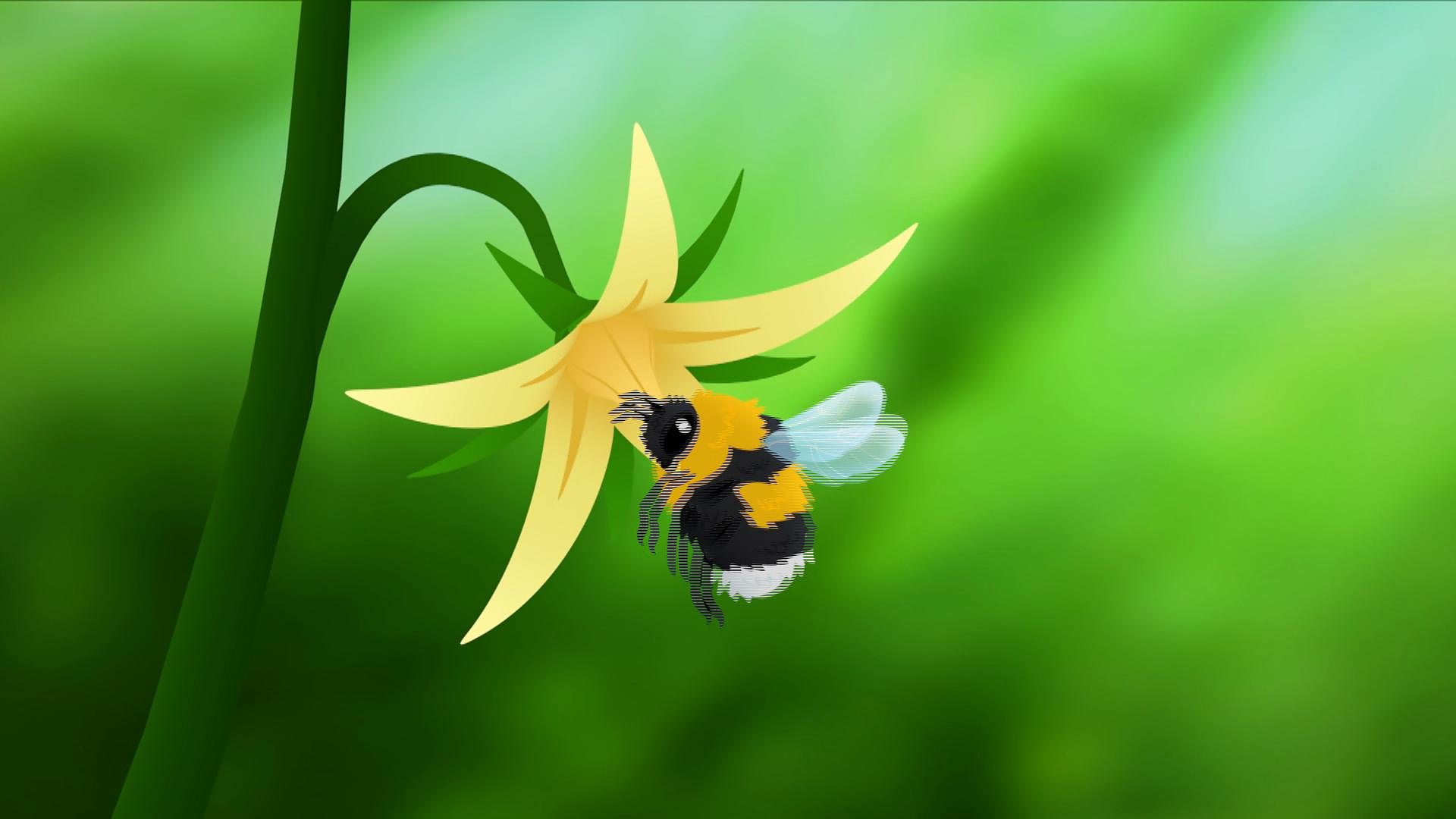 CBeebies - Teeny Tiny Creatures, Facts about Bumblebees | Ferne & Rory ...