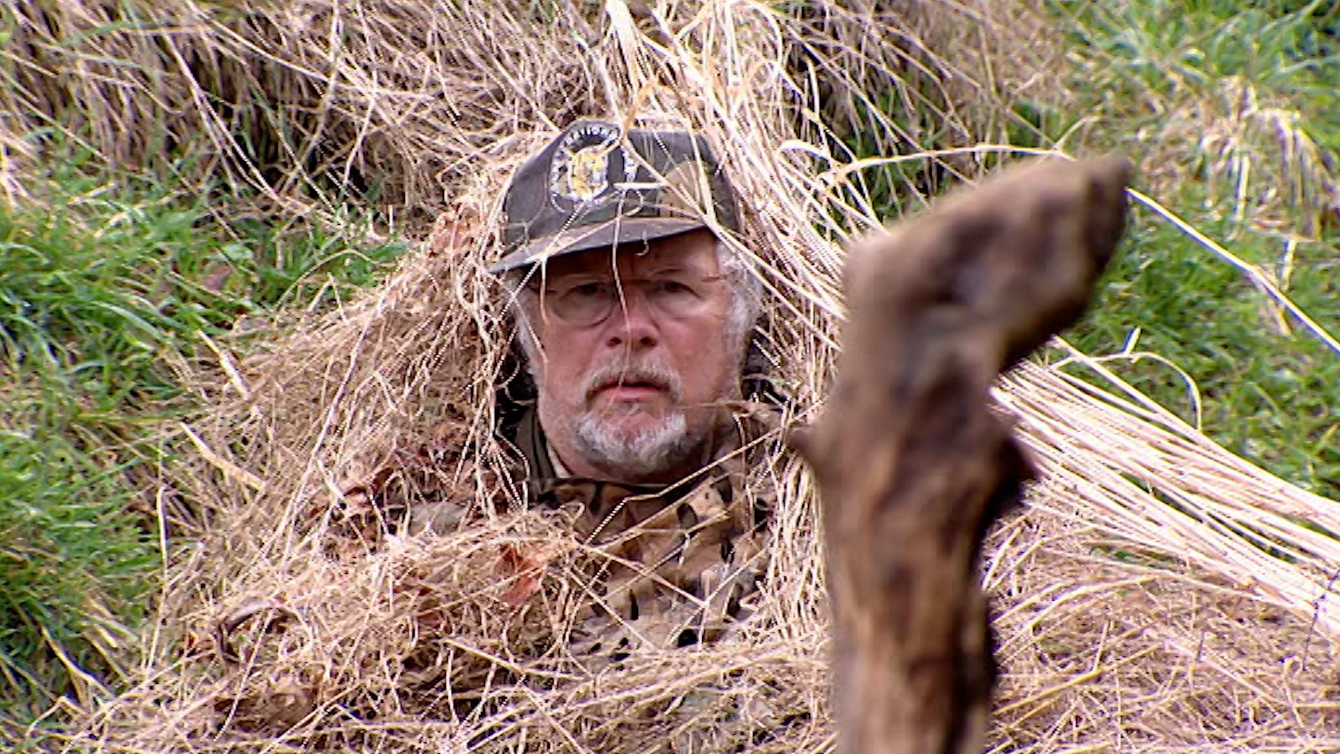 BBC Two - Springwatch, Springwatch 2006: Bill Oddie watches a ...