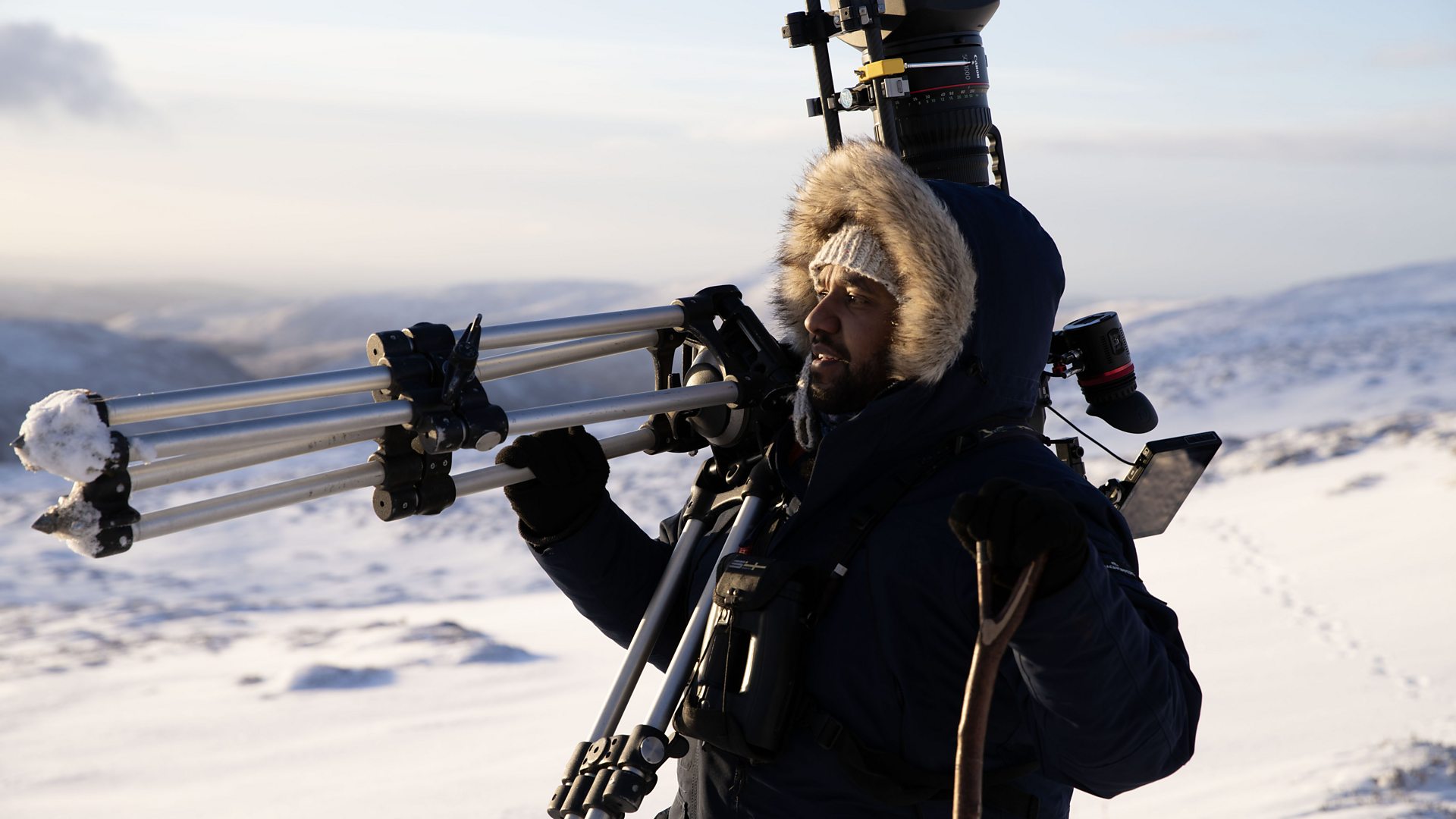 Hamza's Hidden Wild Isles - Everything you need to know about the wildlife series from filming ...