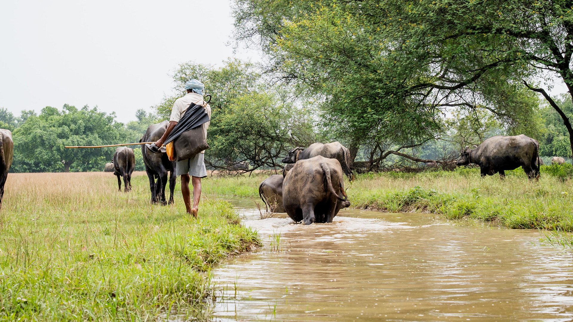 Building bridges with climate communication