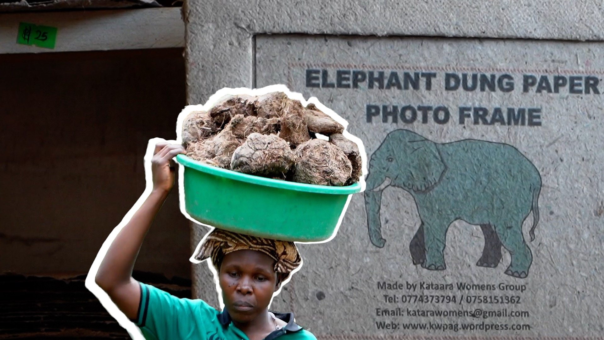elephant dung