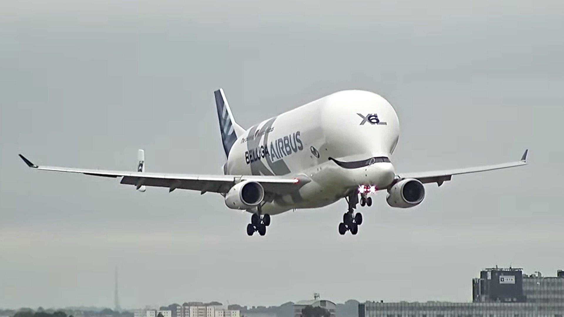beluga plane