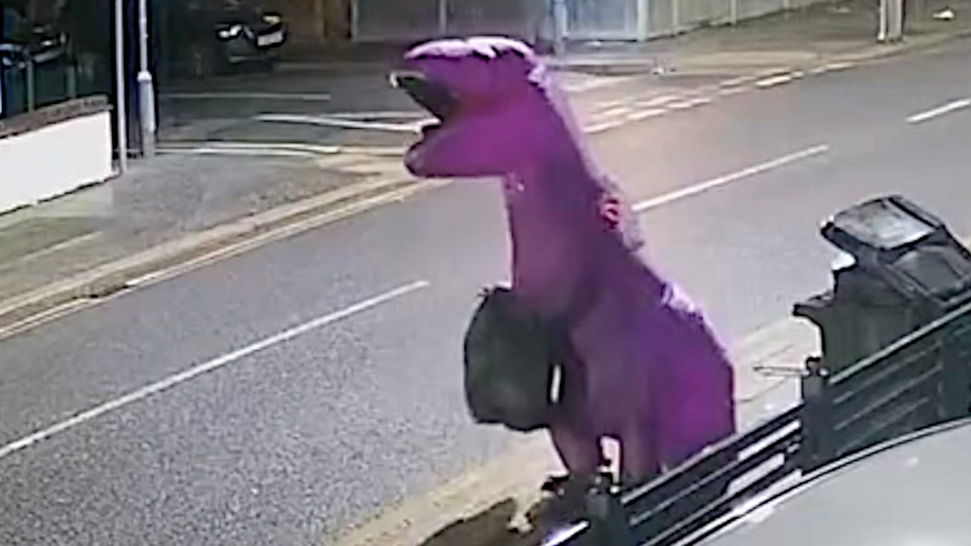 Purple Dinosaur Hopper