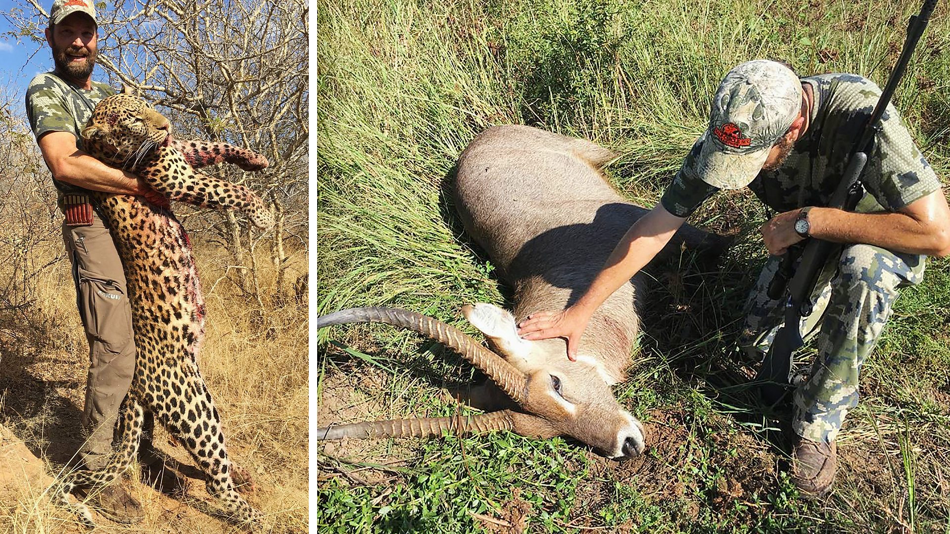 'I hunt wild animals because I love them' - BBC Three