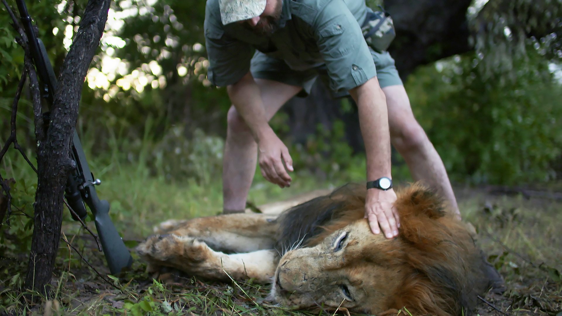 'I hunt wild animals because I love them' - BBC Three