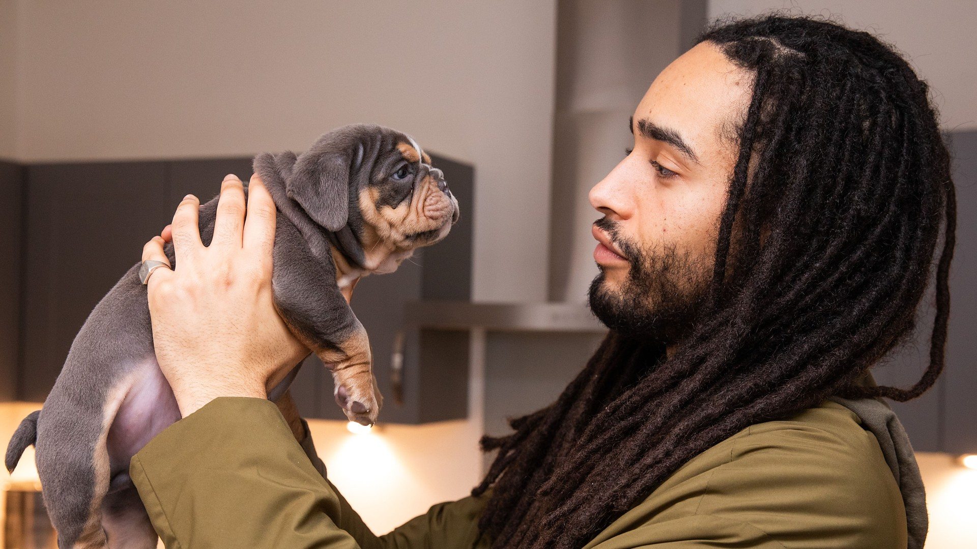 'It's extremely worrying': Inside Britain's puppy boom - BBC Three