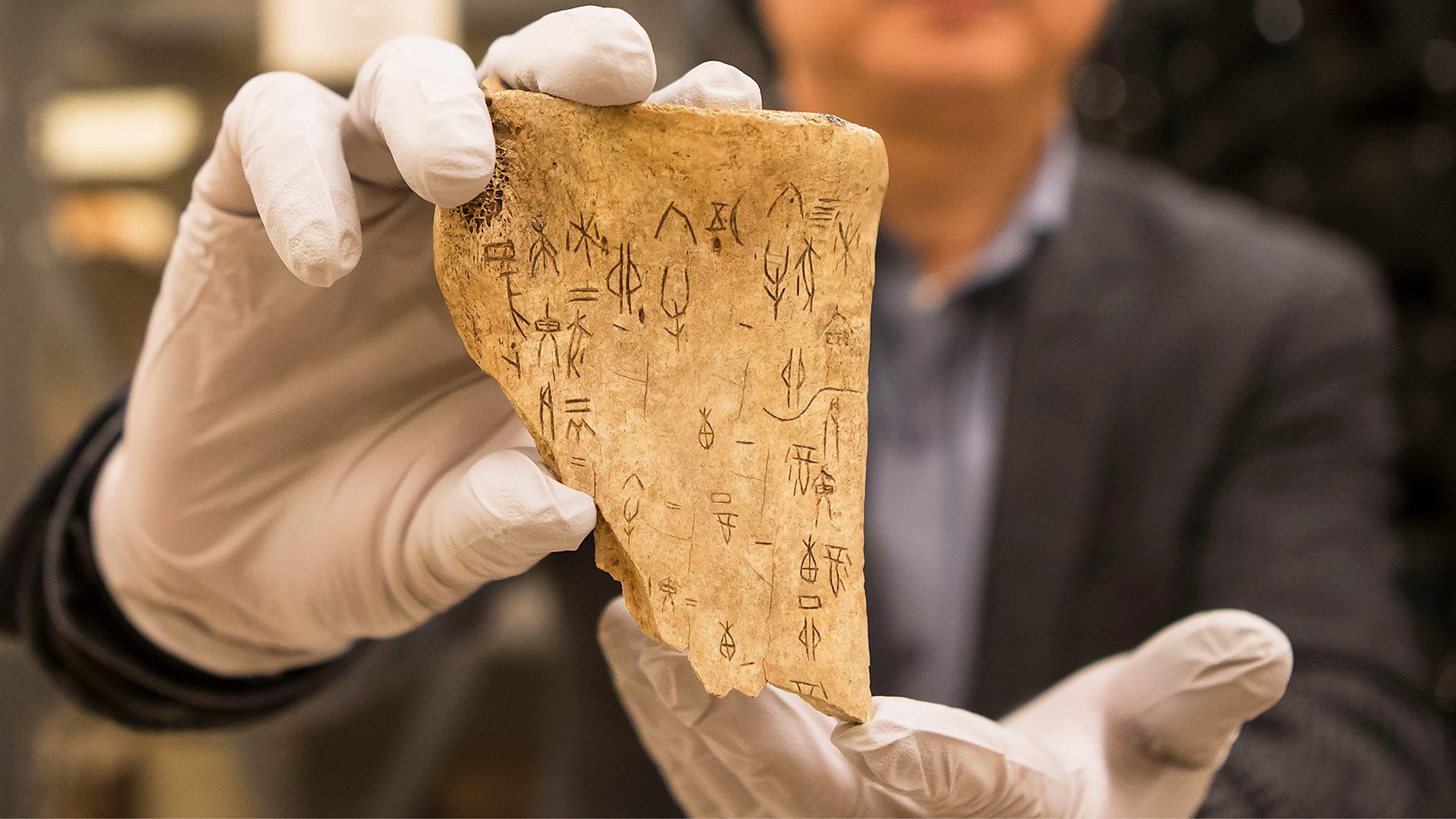 Oracle Bones The Mysterious Bones Used To Predict The Future
