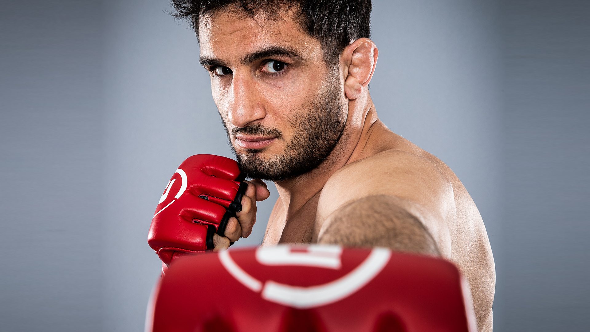 Gegard Mousasi: The quiet legend of MMA who has won almost everything ...